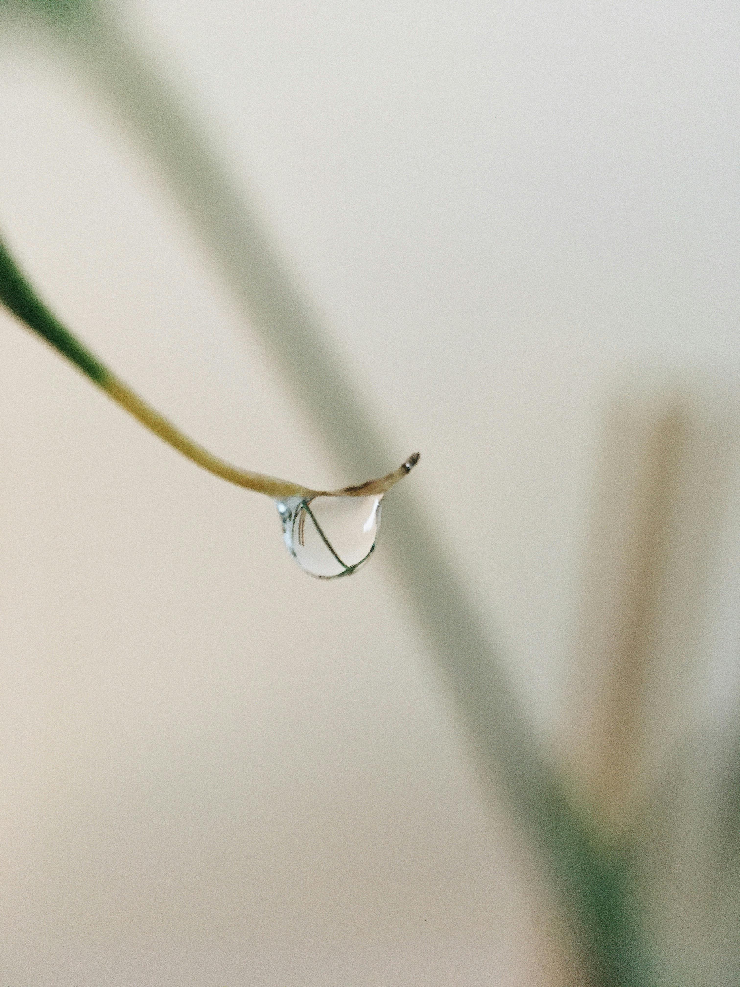 Droplets of Water on a Surface · Free Stock Photo