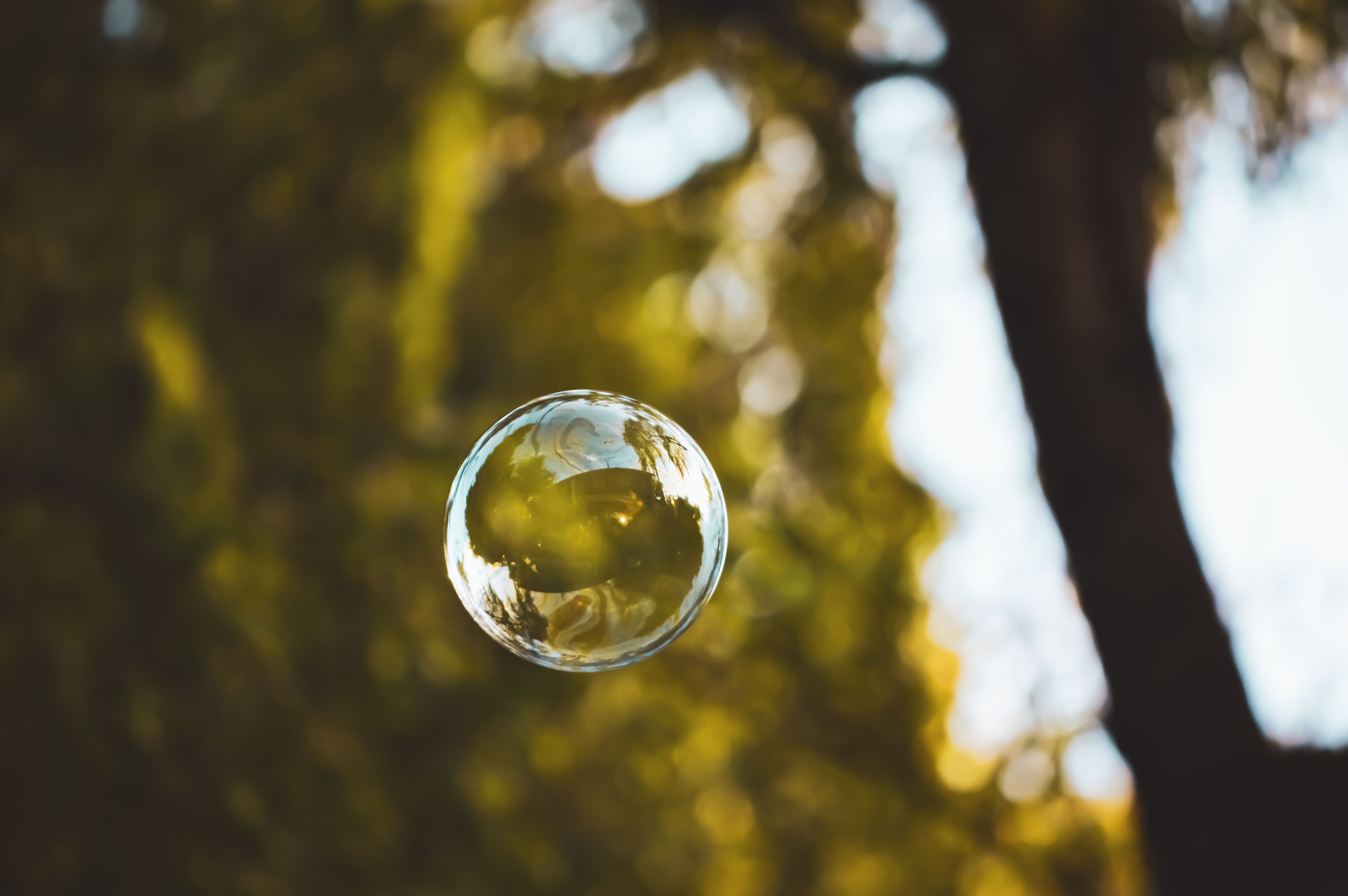 Close-Up Shot of a Soap Bubble · Free Stock Photo