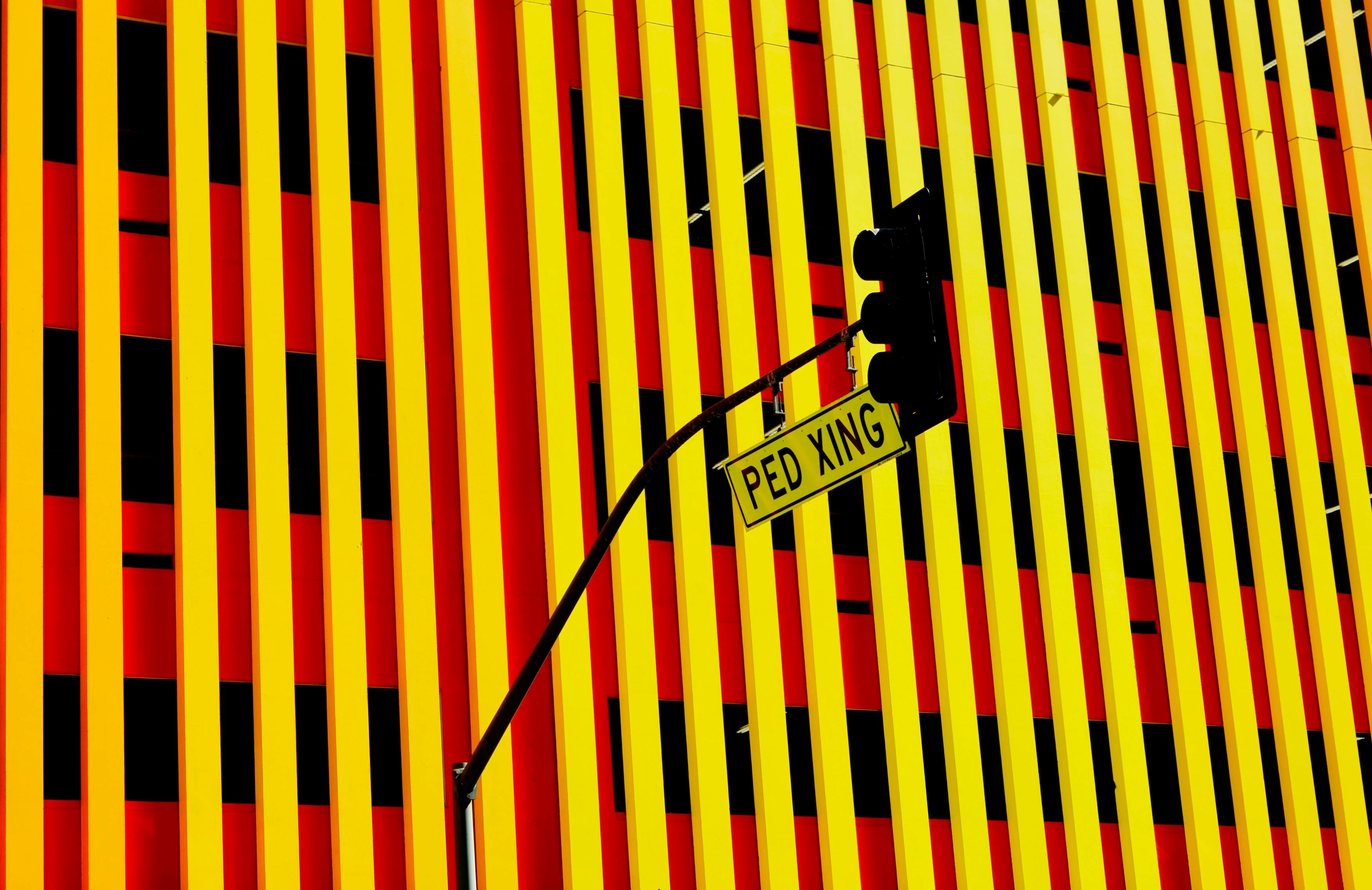 Best Ped Photos · 100% Free Download · Pexels Stock Photos