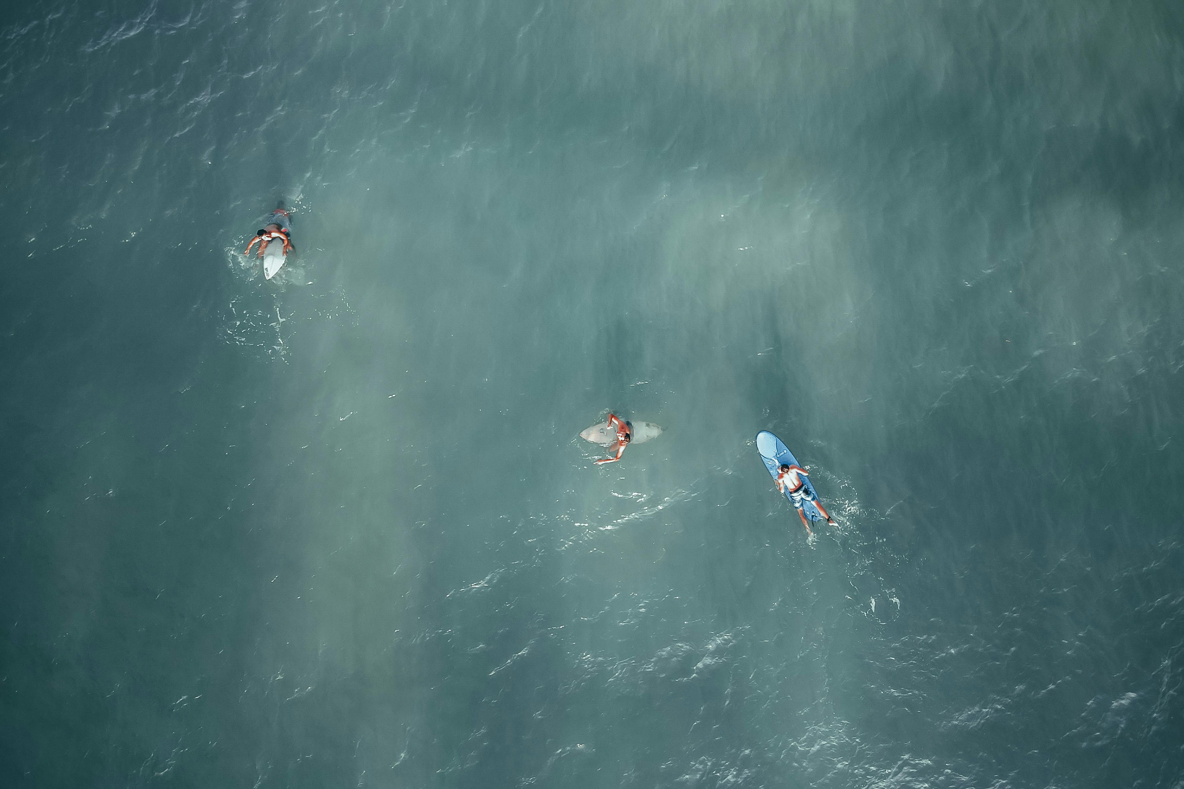 Photo of a Woman Swimming in Deep Waters · Free Stock Photo