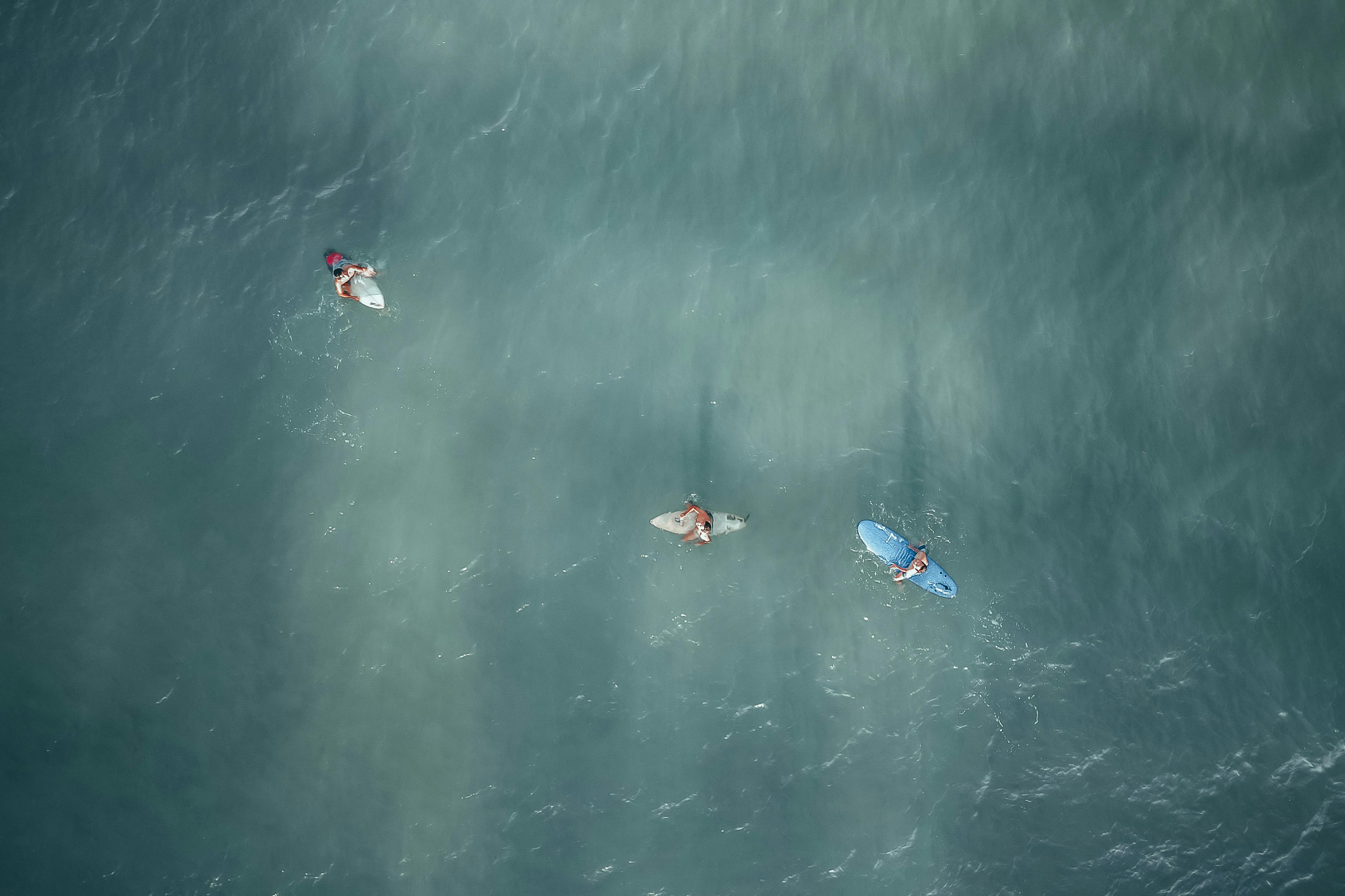 Physical Distancing Photos, Download The BEST Free Physical Distancing ...