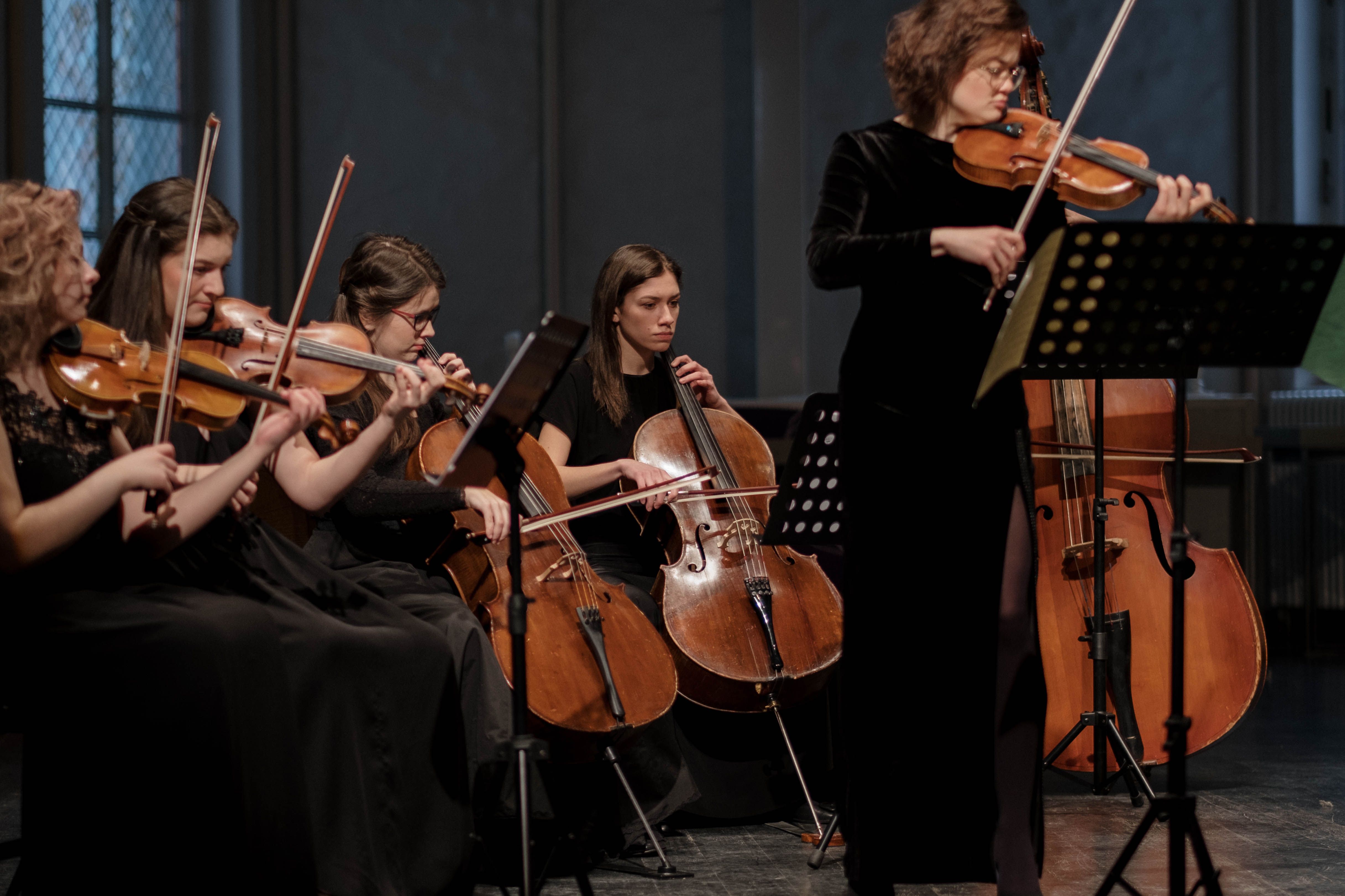 Back View of a Woman in Black Dress Playing a Violin · Free Stock Photo