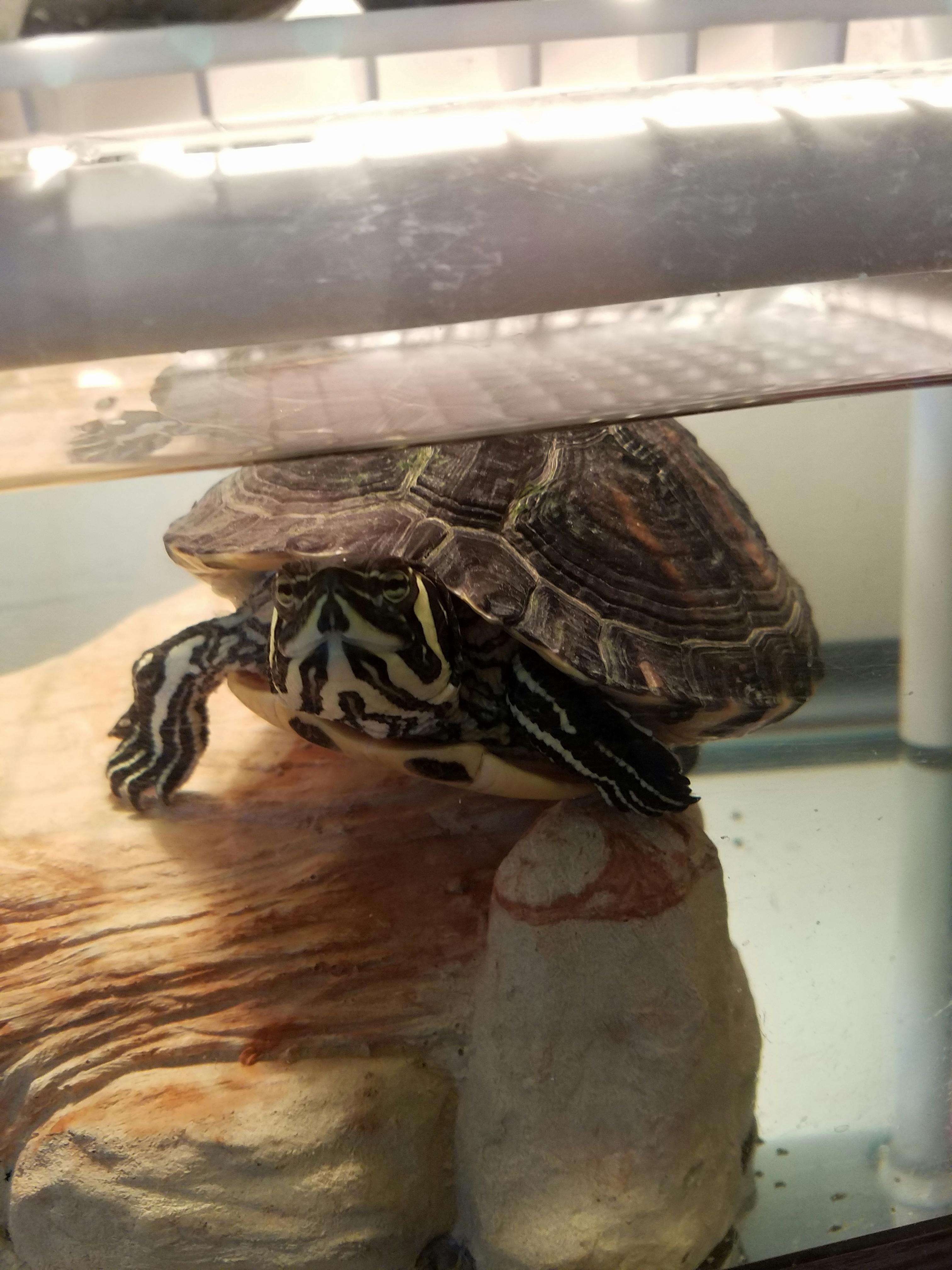 Free stock photo from Patty · Pexels