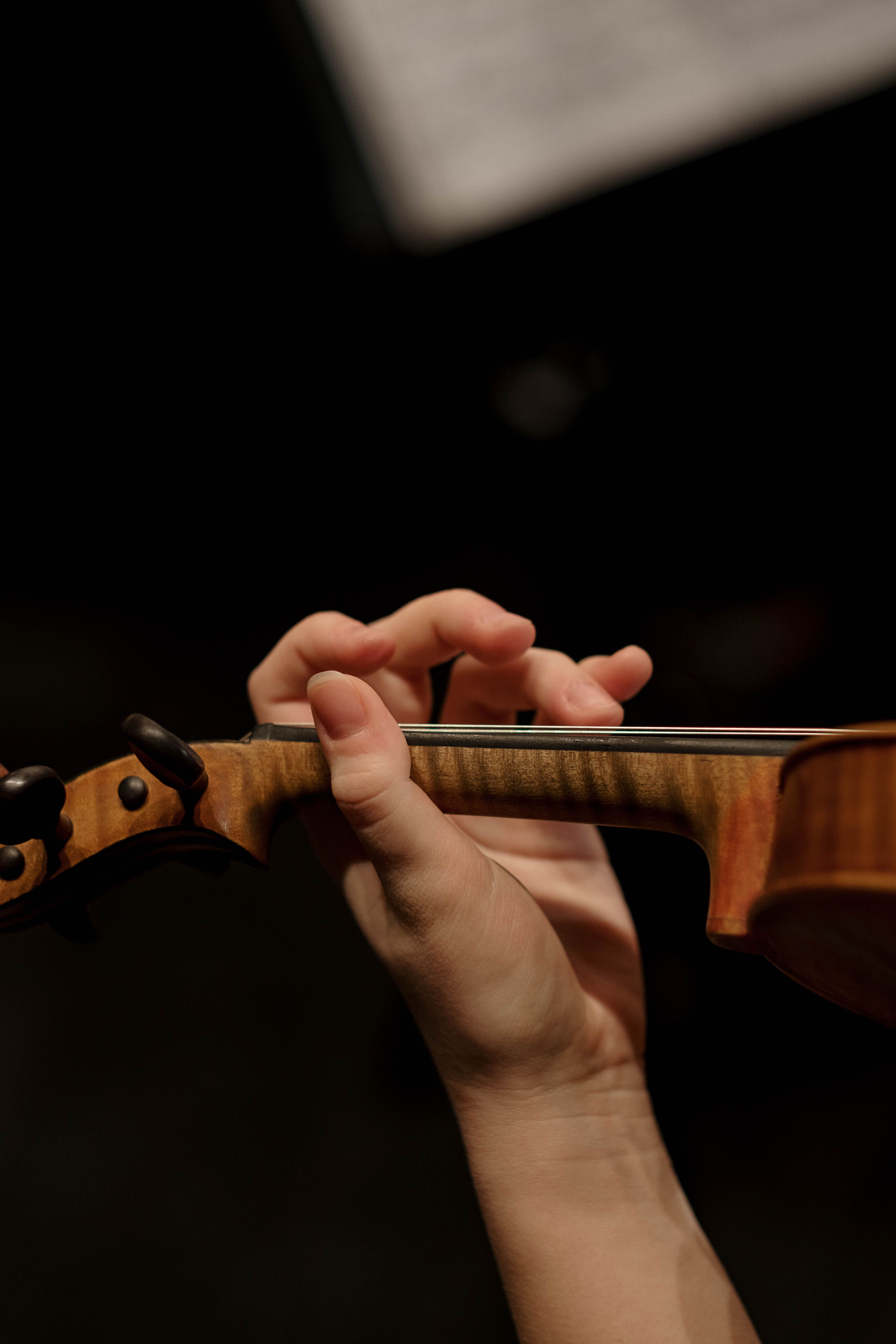 A Person Playing Violin · Free Stock Photo