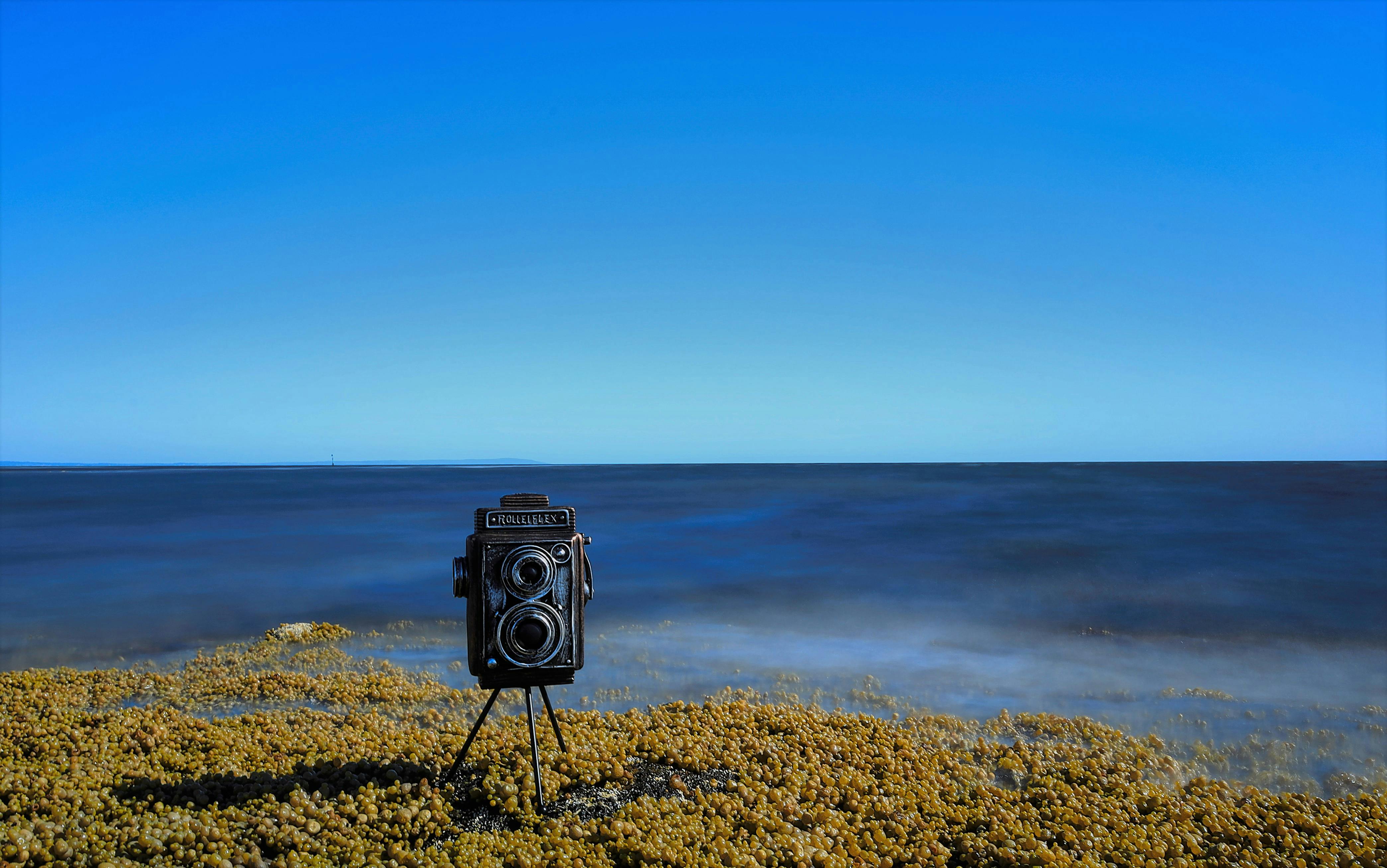 10+ Best Gif Photos · 100% Free Download · Pexels Stock Photos