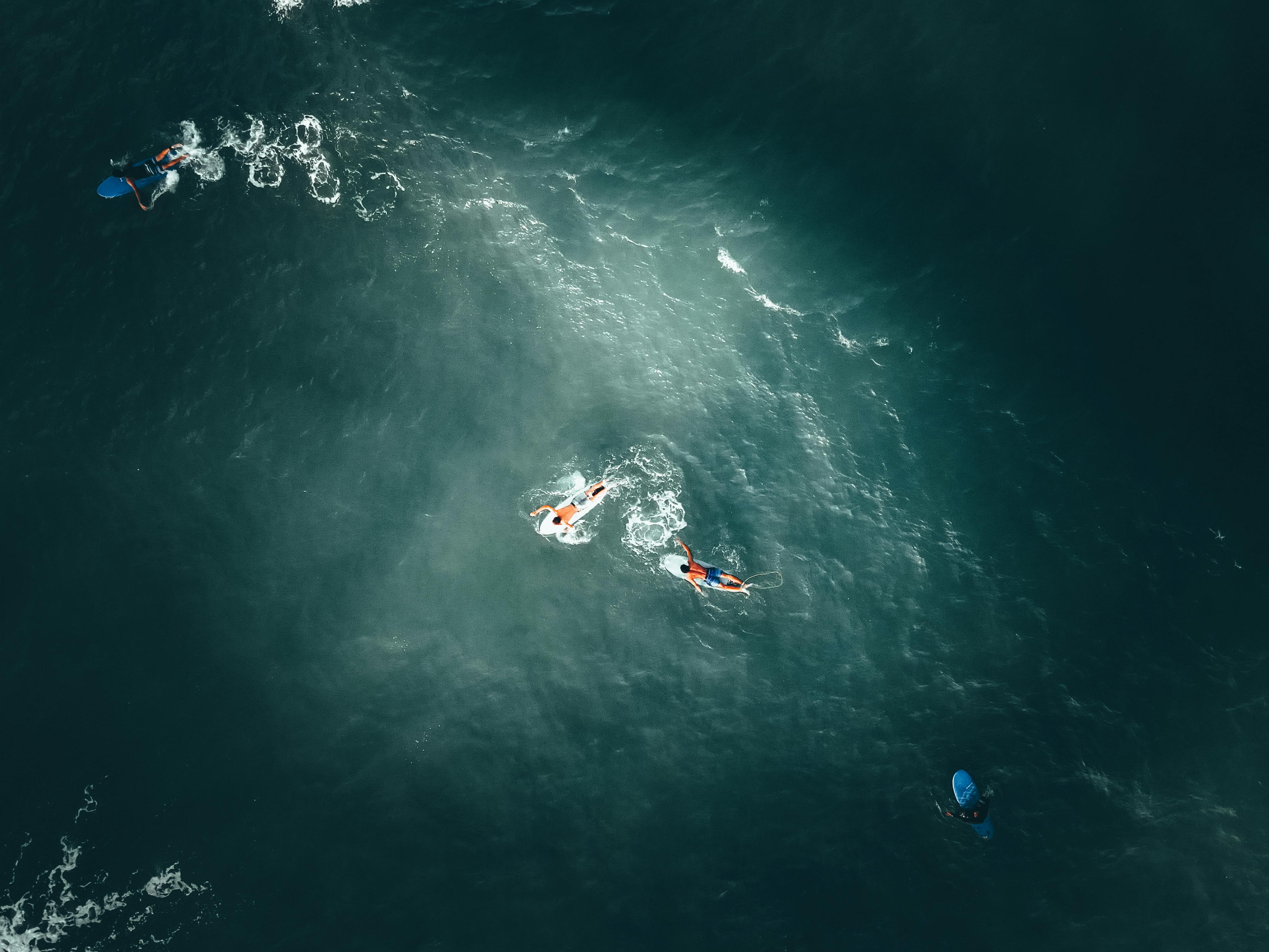 Short Height Photos, Download The BEST Free Short Height Stock Photos ...