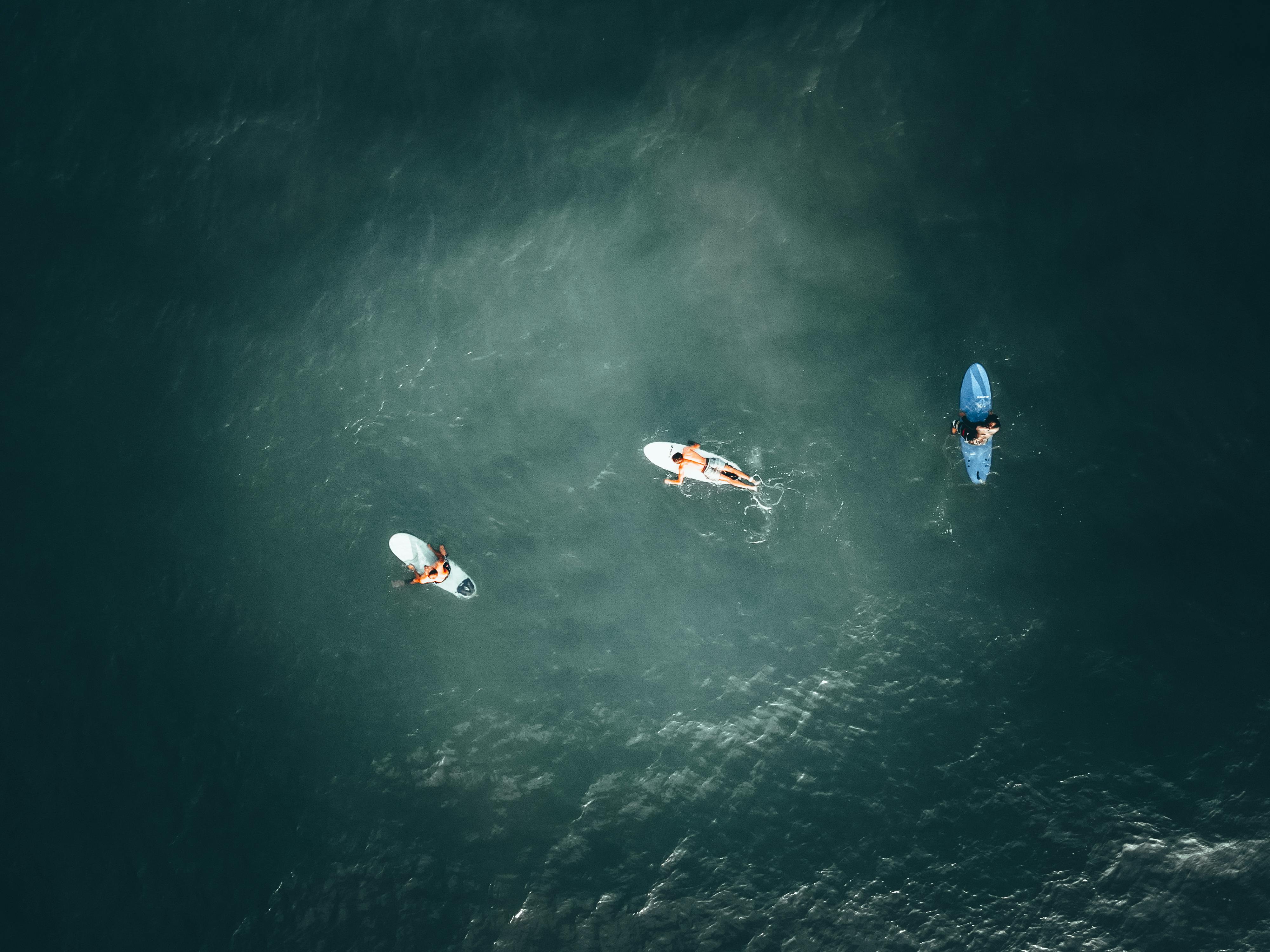 Empty Surfboard Floating On Clear Water Photos, Download The BEST Free ...