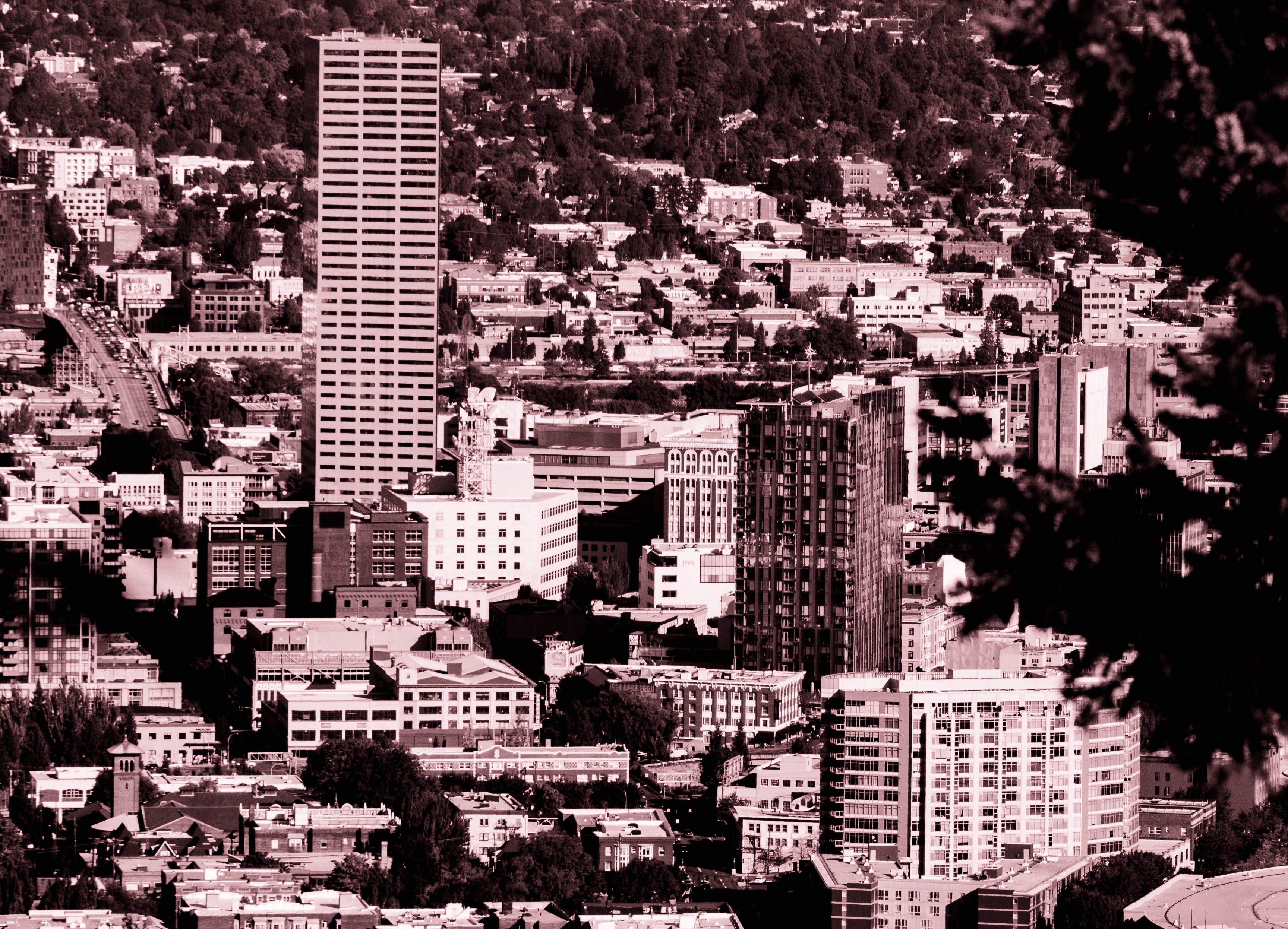 Skyscraper Sepia