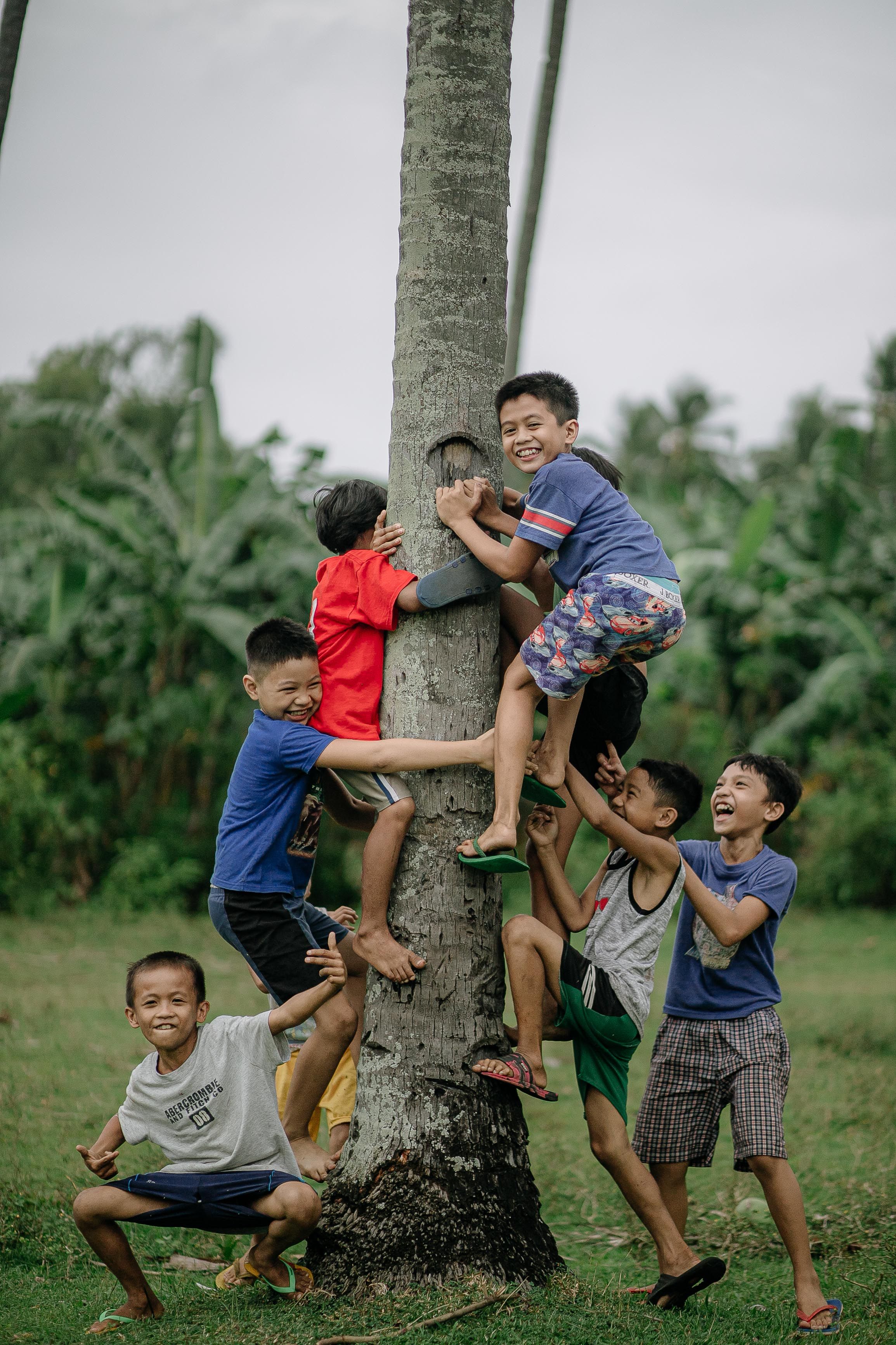 Children Playing under the Coconut Tree · Free Stock Photo