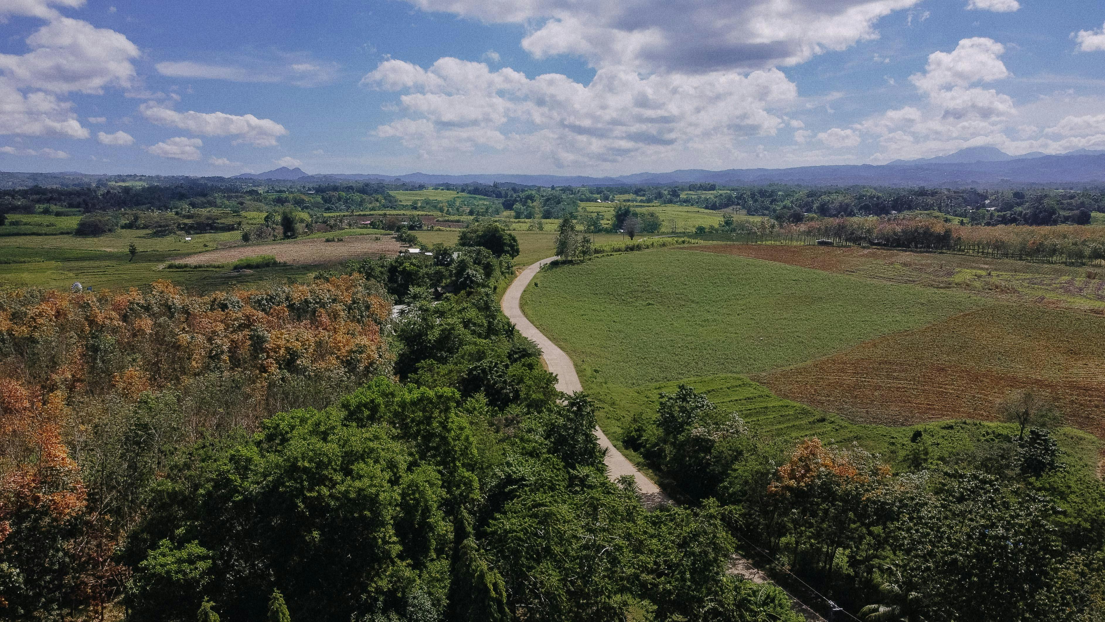 Aerial View of Green Trees on Farm Field · Free Stock Photo