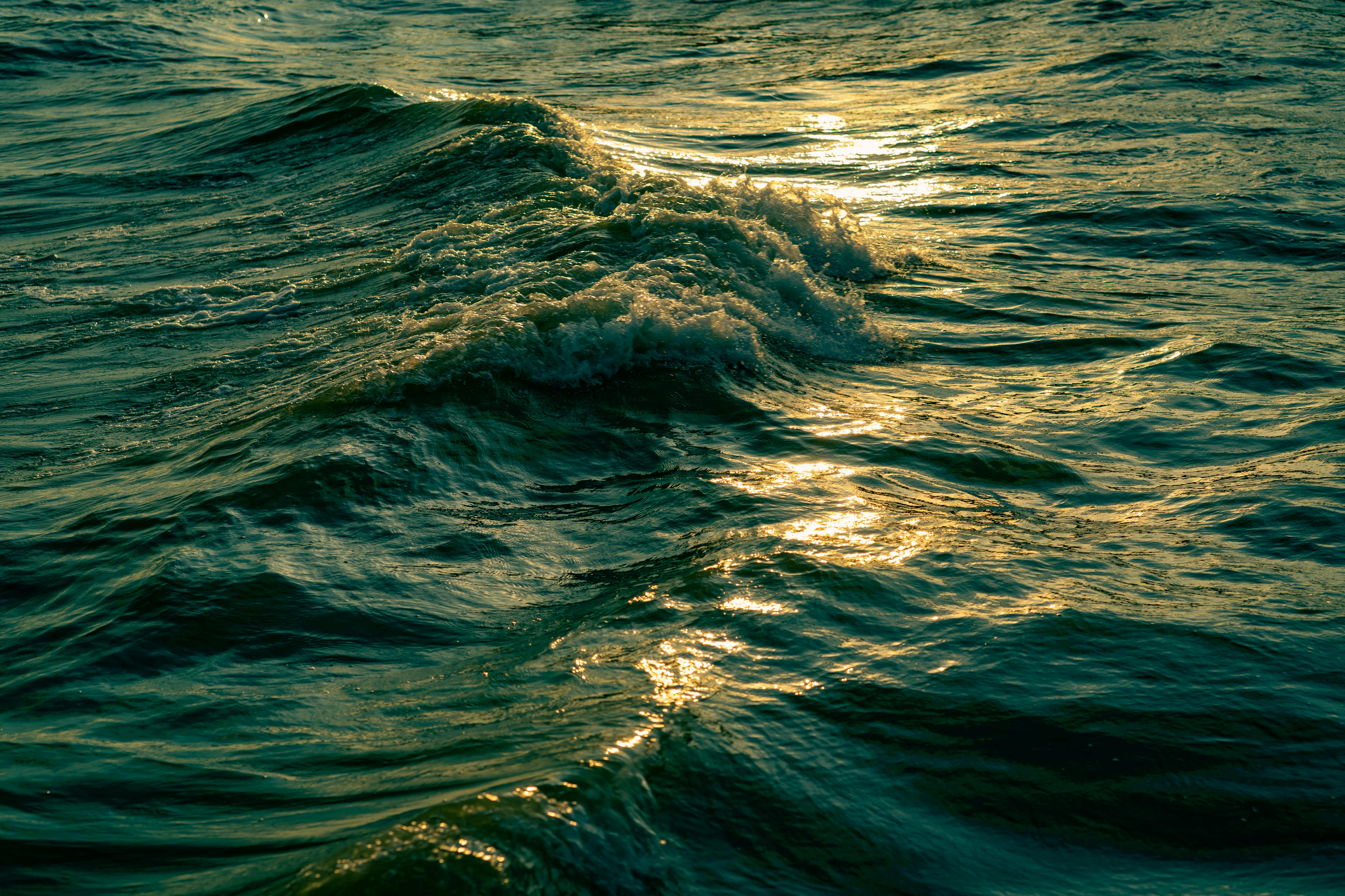 Close-up of Water Splashing Against Black Background · Free Stock Photo
