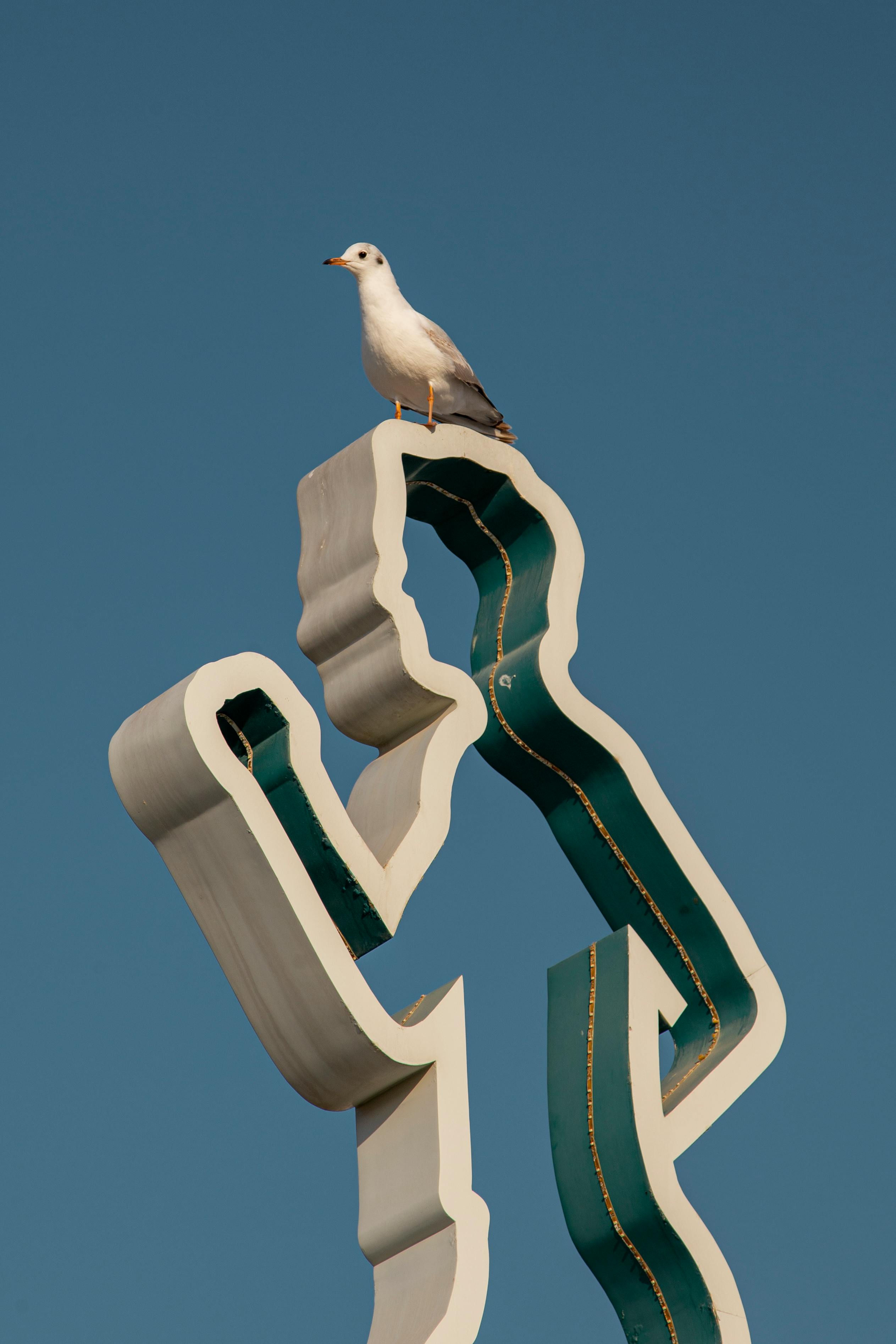 Figure Photography Photos, Download The BEST Free Figure Photography ...