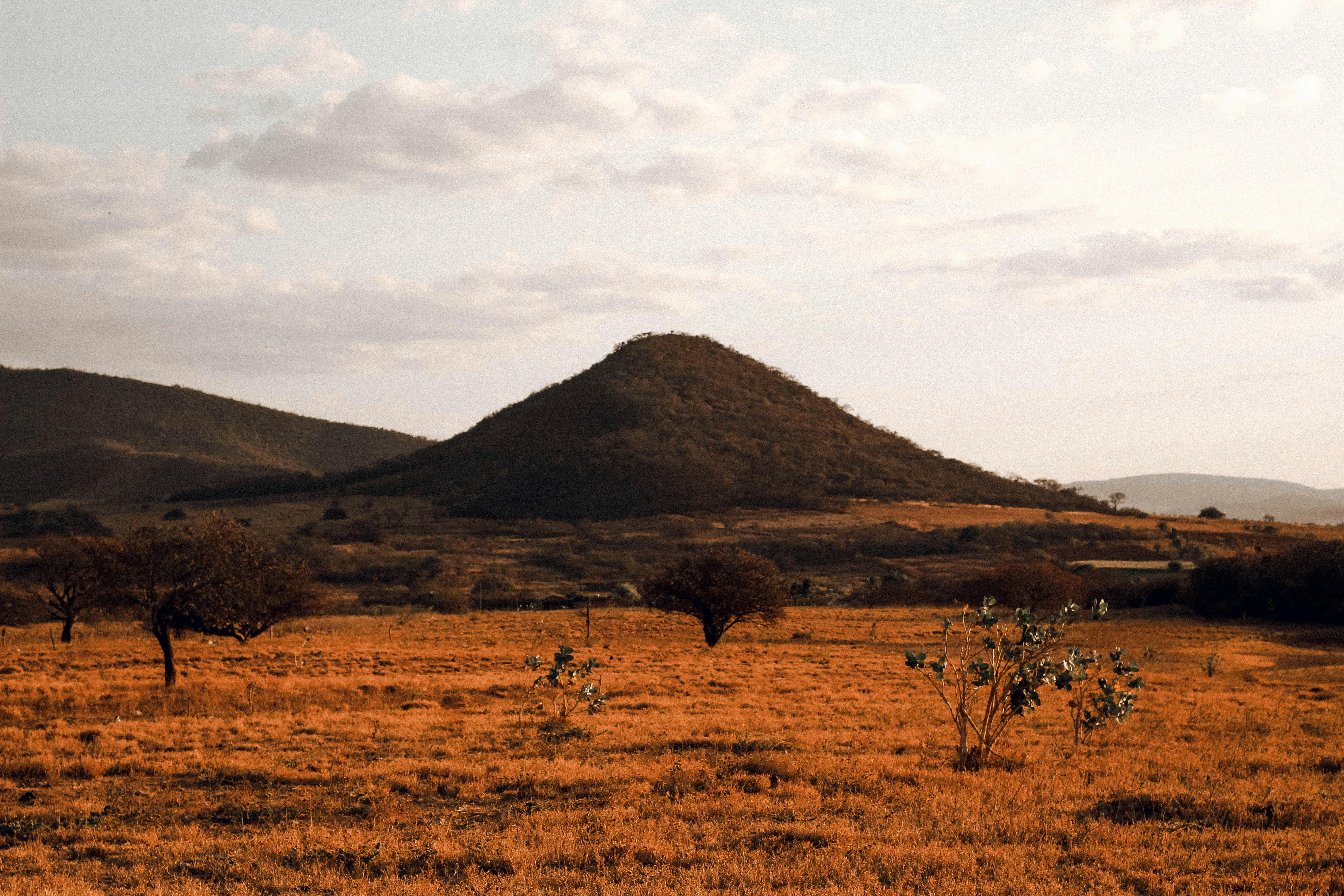 300.000+ melhores imagens de Urban Rural Landscape · Download 100% ...