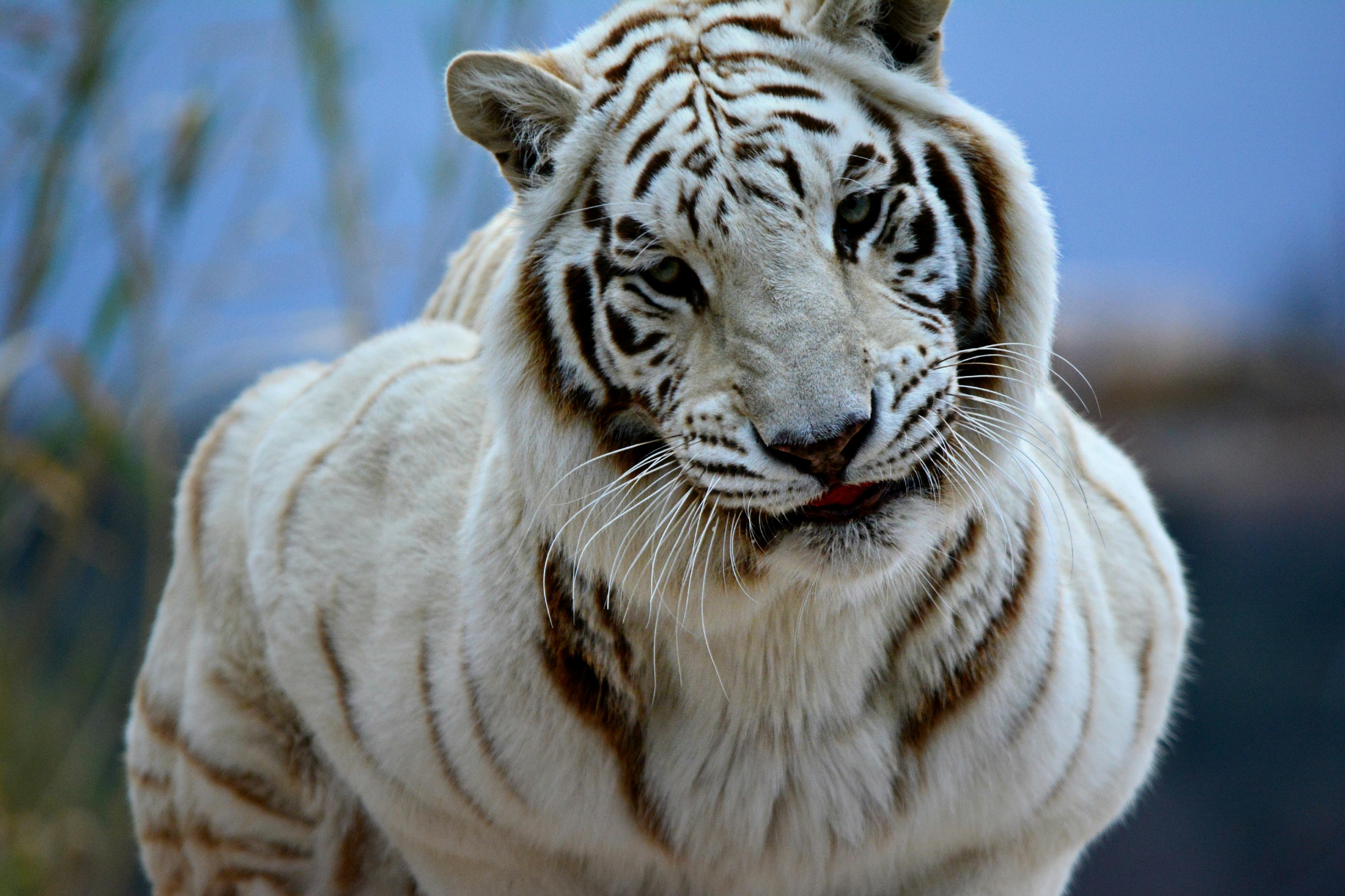 Hannah Mead - Photography