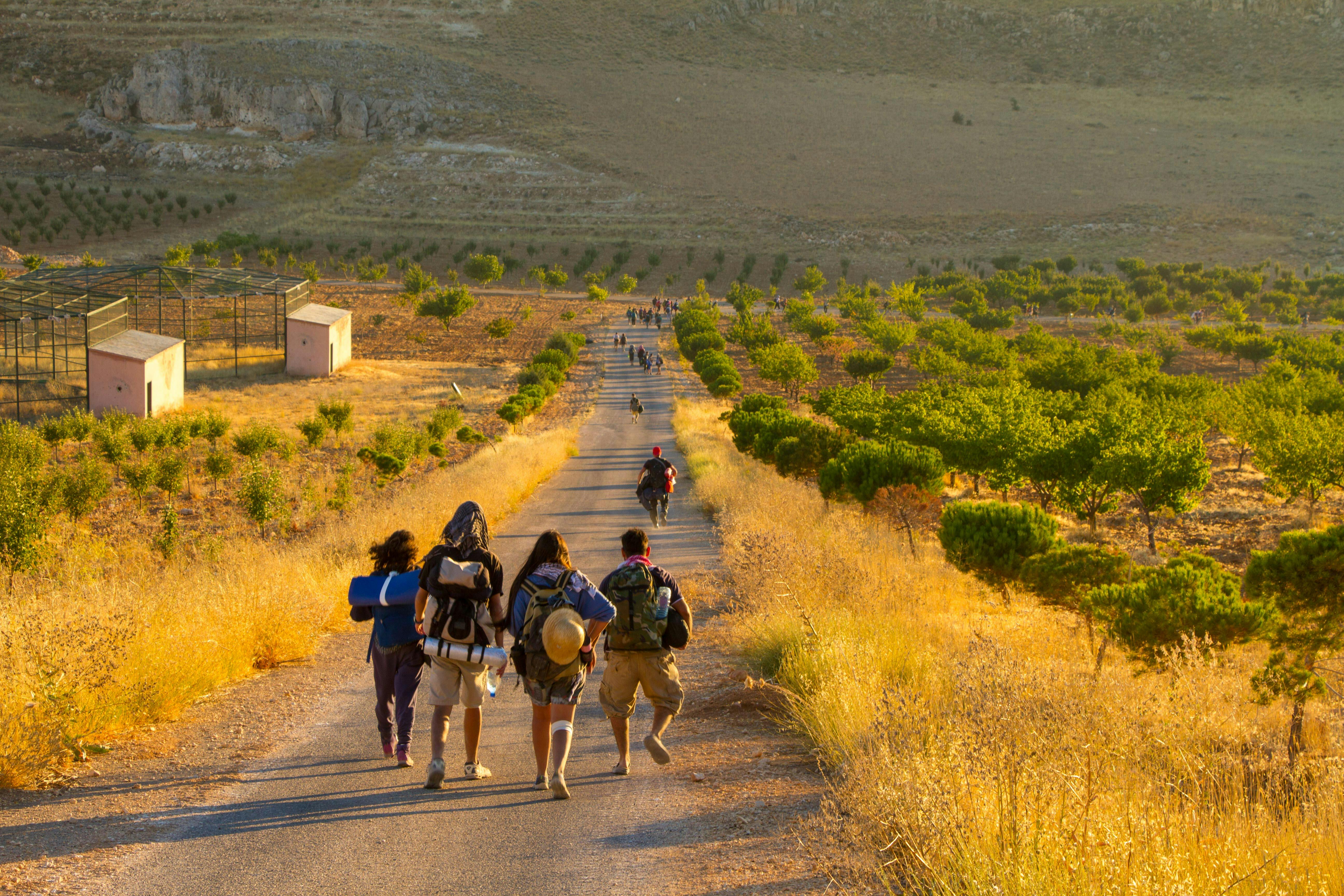 People Walking on Road · Free Stock Photo