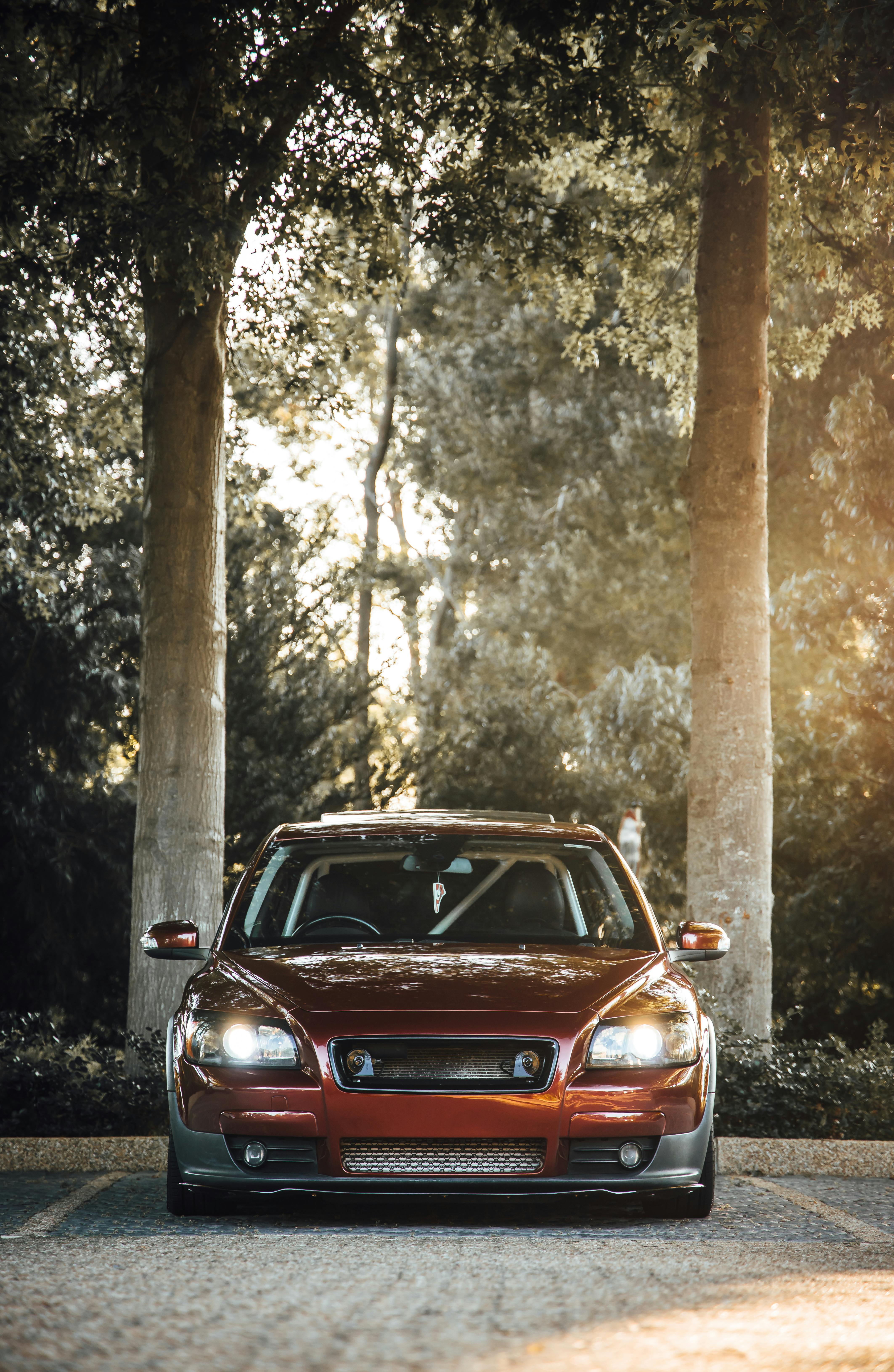Red Car Parked Beside Trees · Free Stock Photo