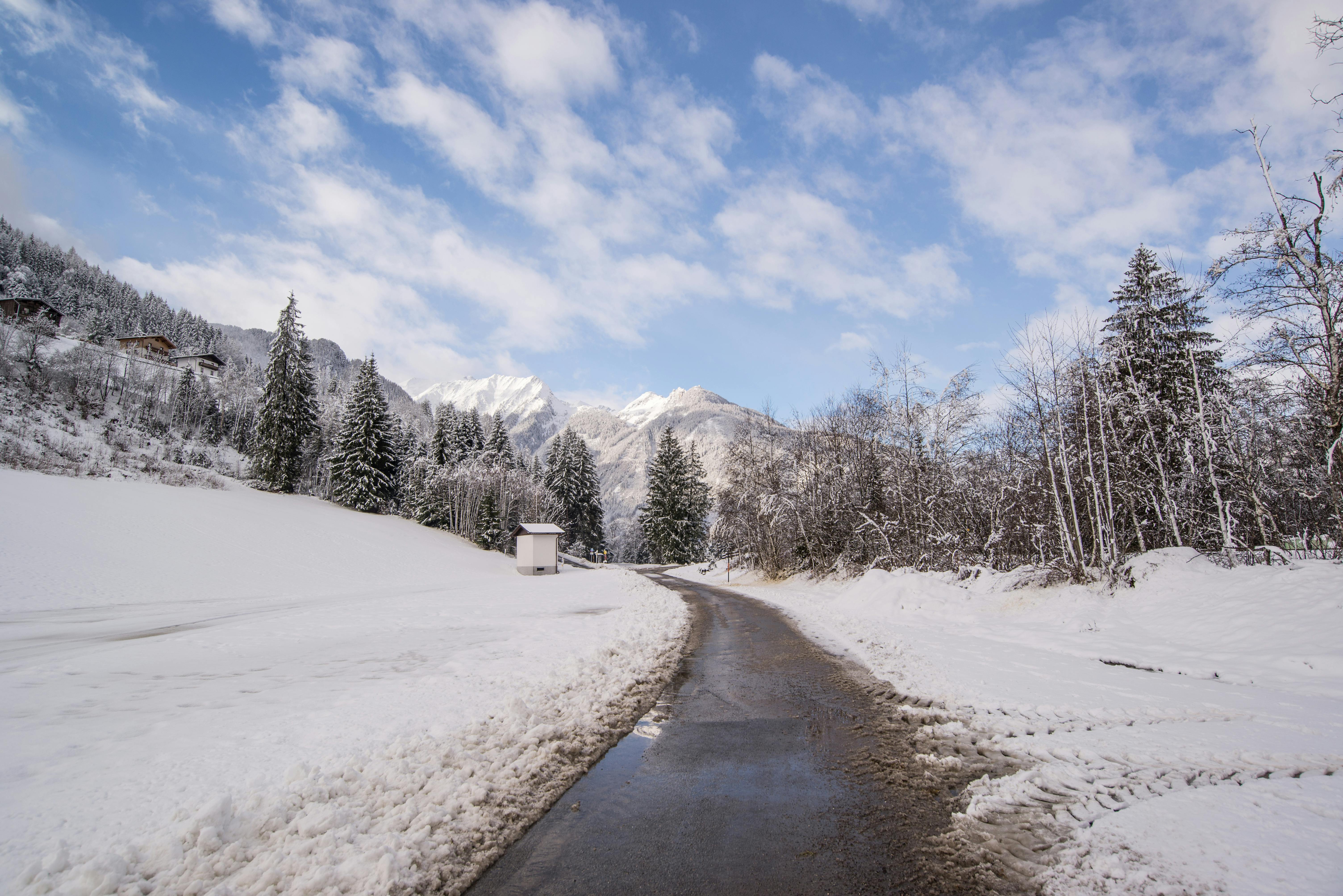 Pavement Road Surrounded by Snow and Pine Trees · Free Stock Photo