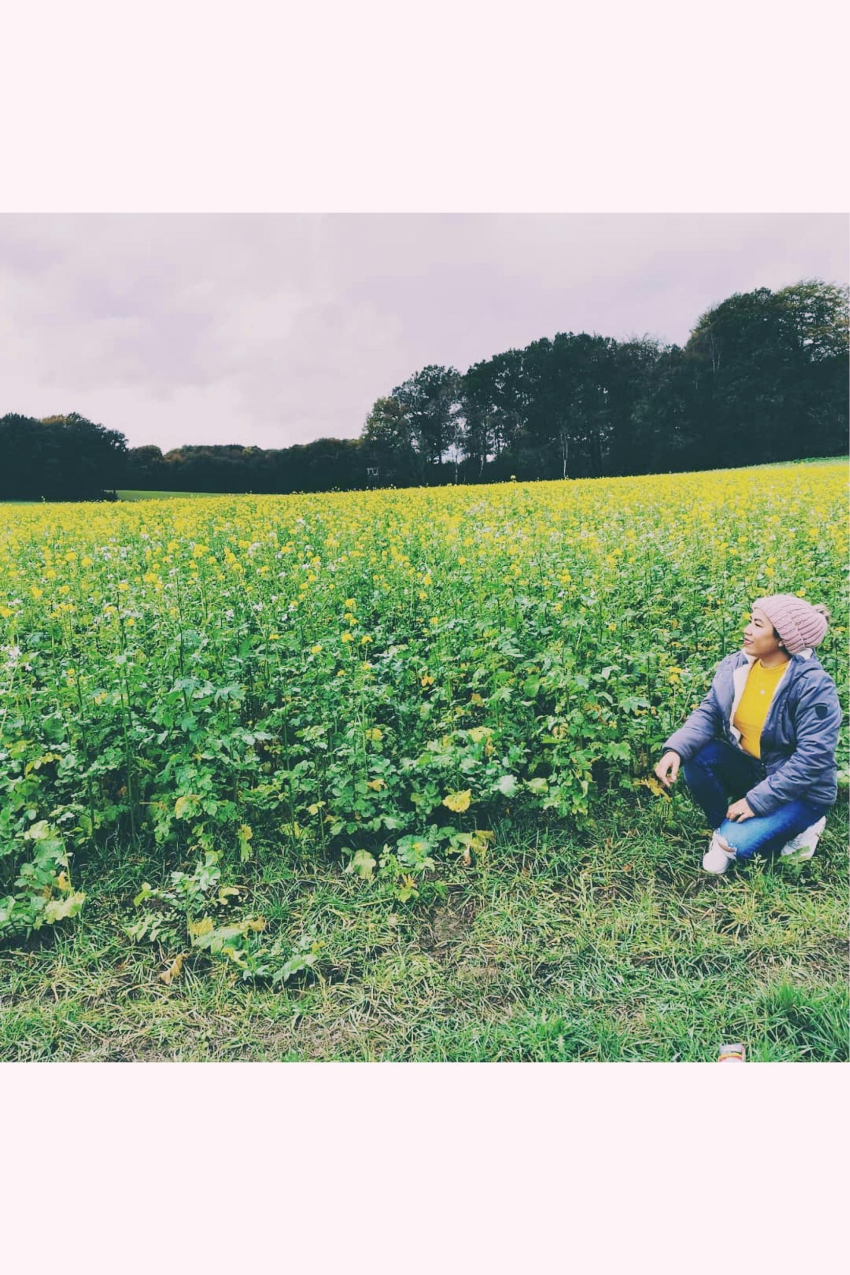 Flowers 6 Photos & Videos Collected by Gerlie Ramis