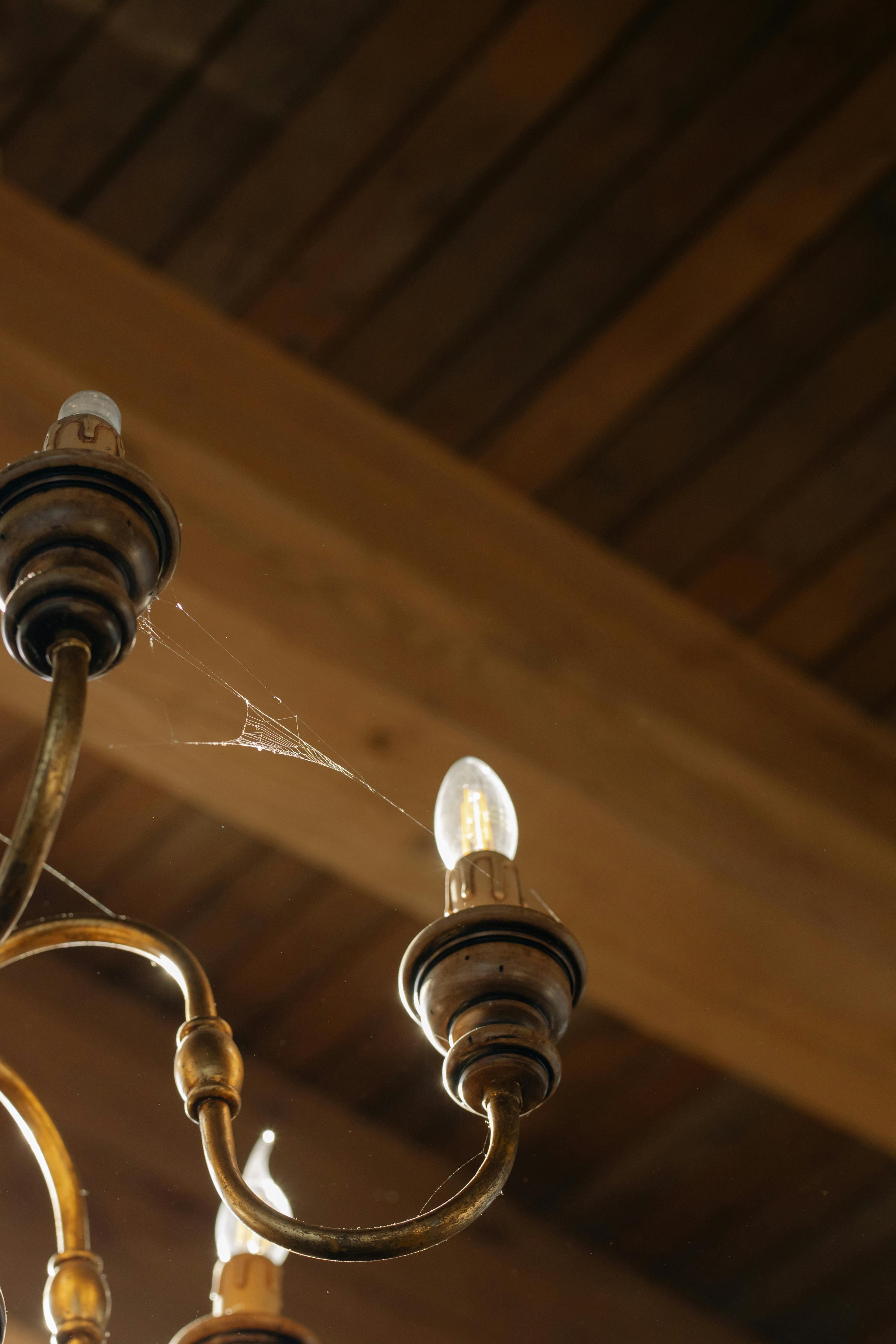 200,000+张最精彩的“Cool Web Development Background”图片 · 100%免费下载 · Pexels素材图片