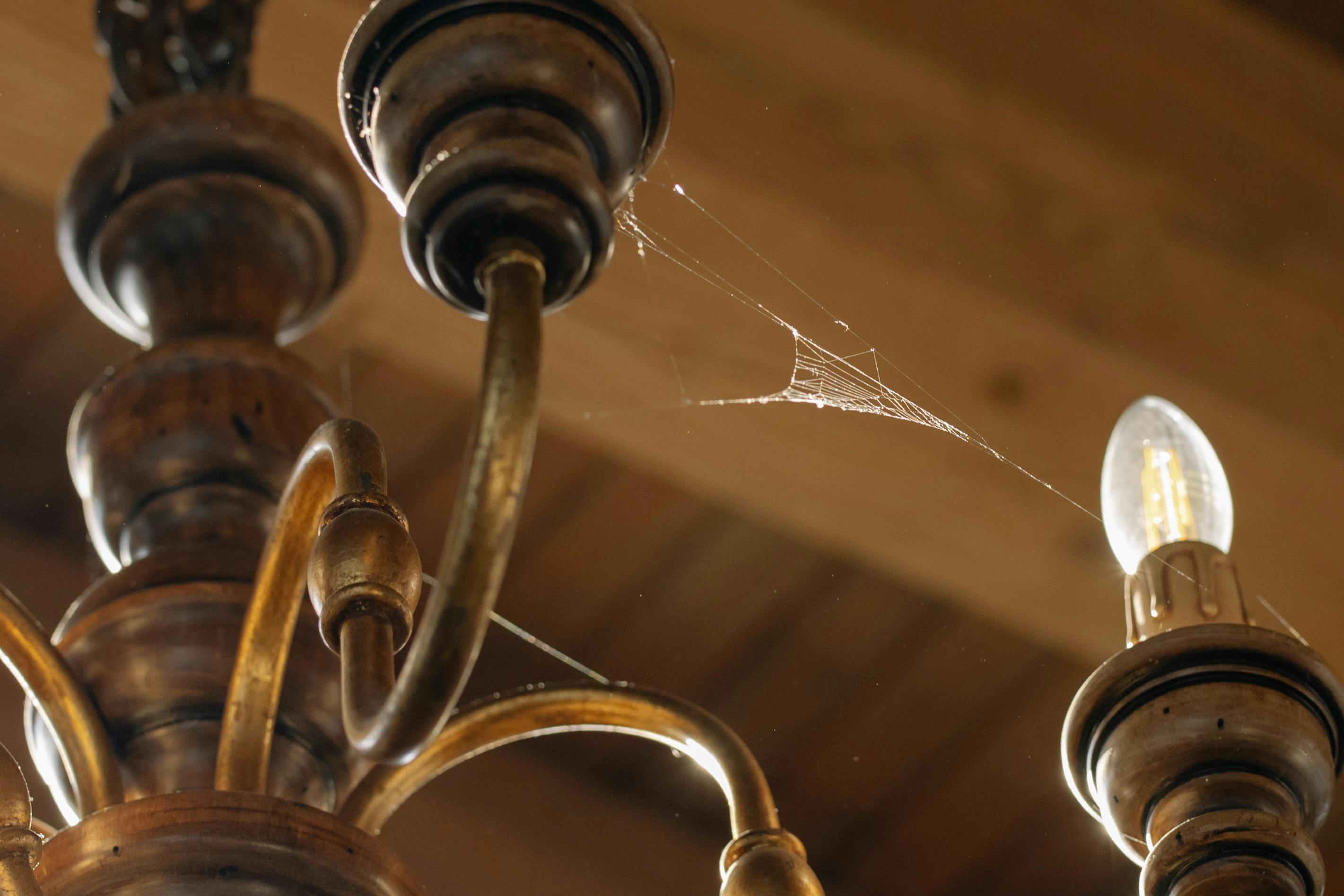 Colorful Lights · Free Stock Photo