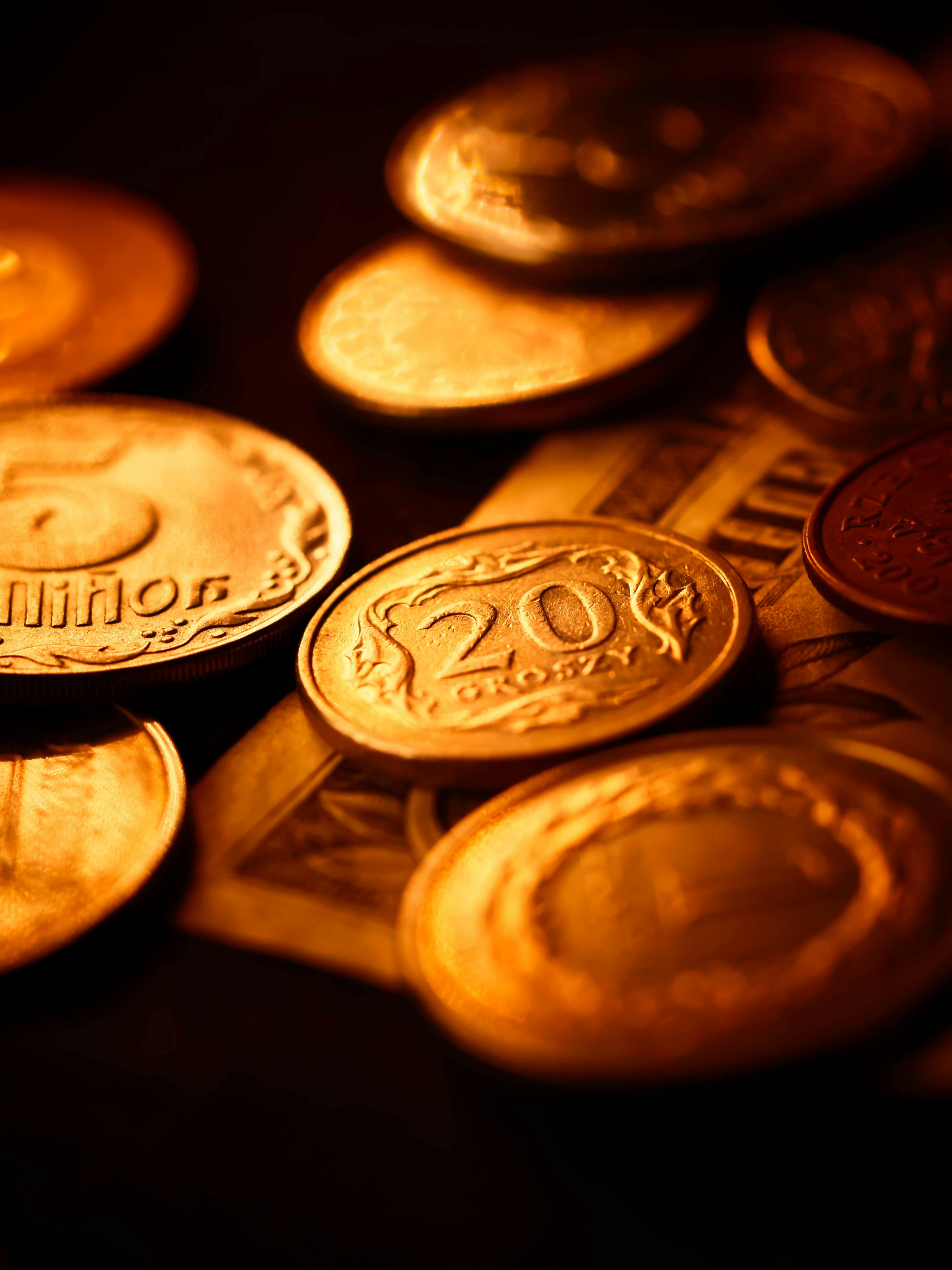 Bank Notes · Free Stock Photo