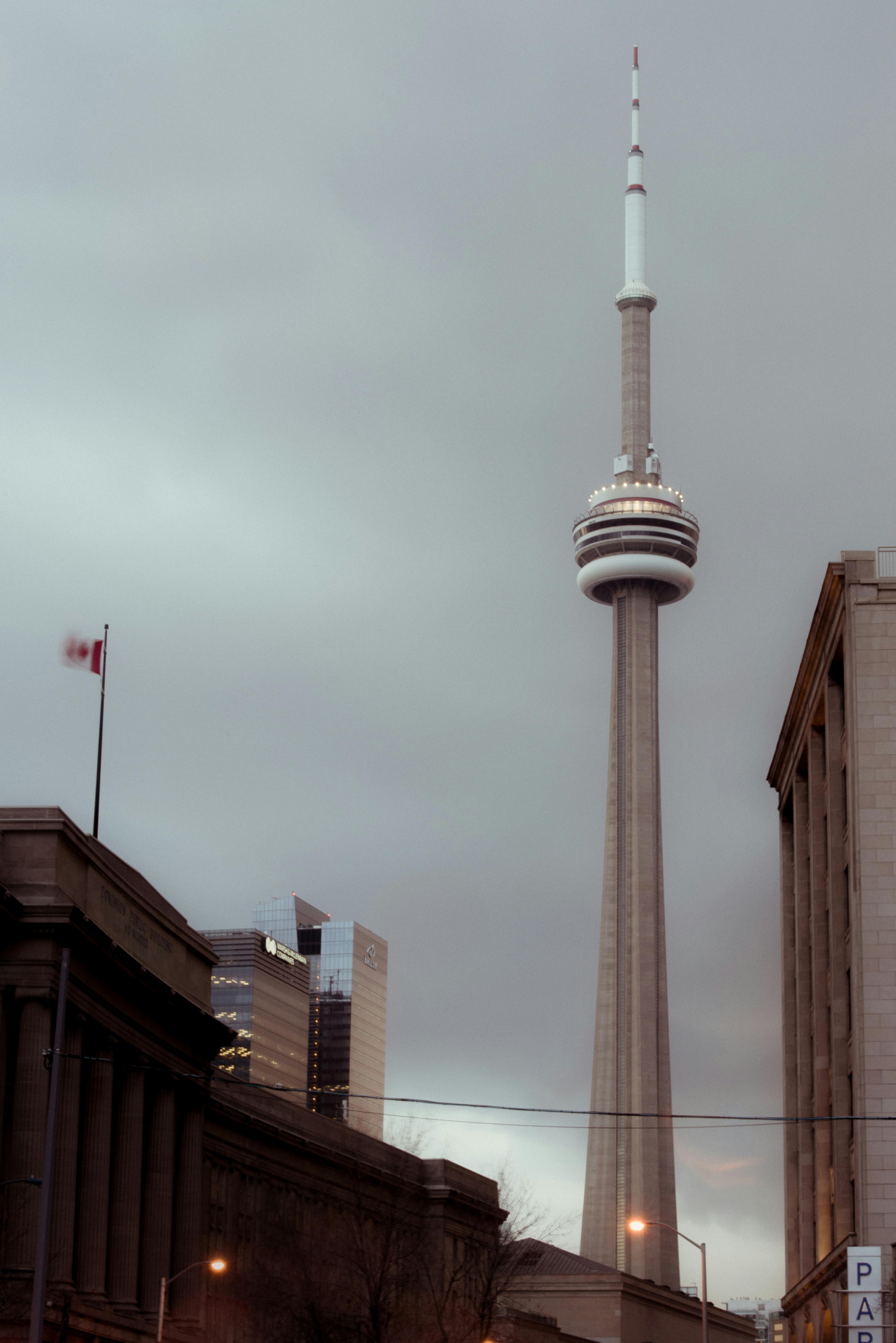 CN tower located in city · Free Stock Photo
