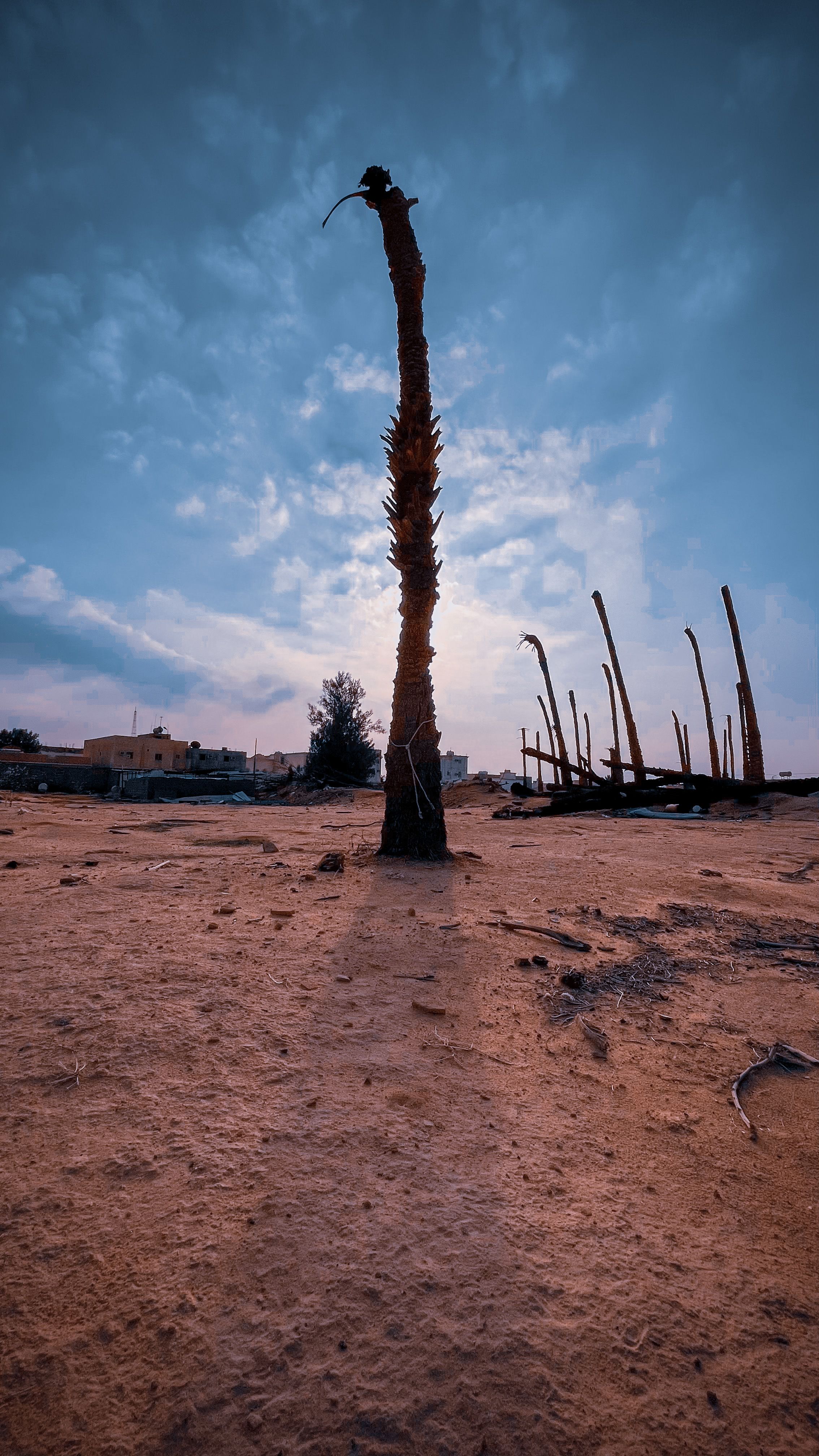 Basheer Alshammari - Photography