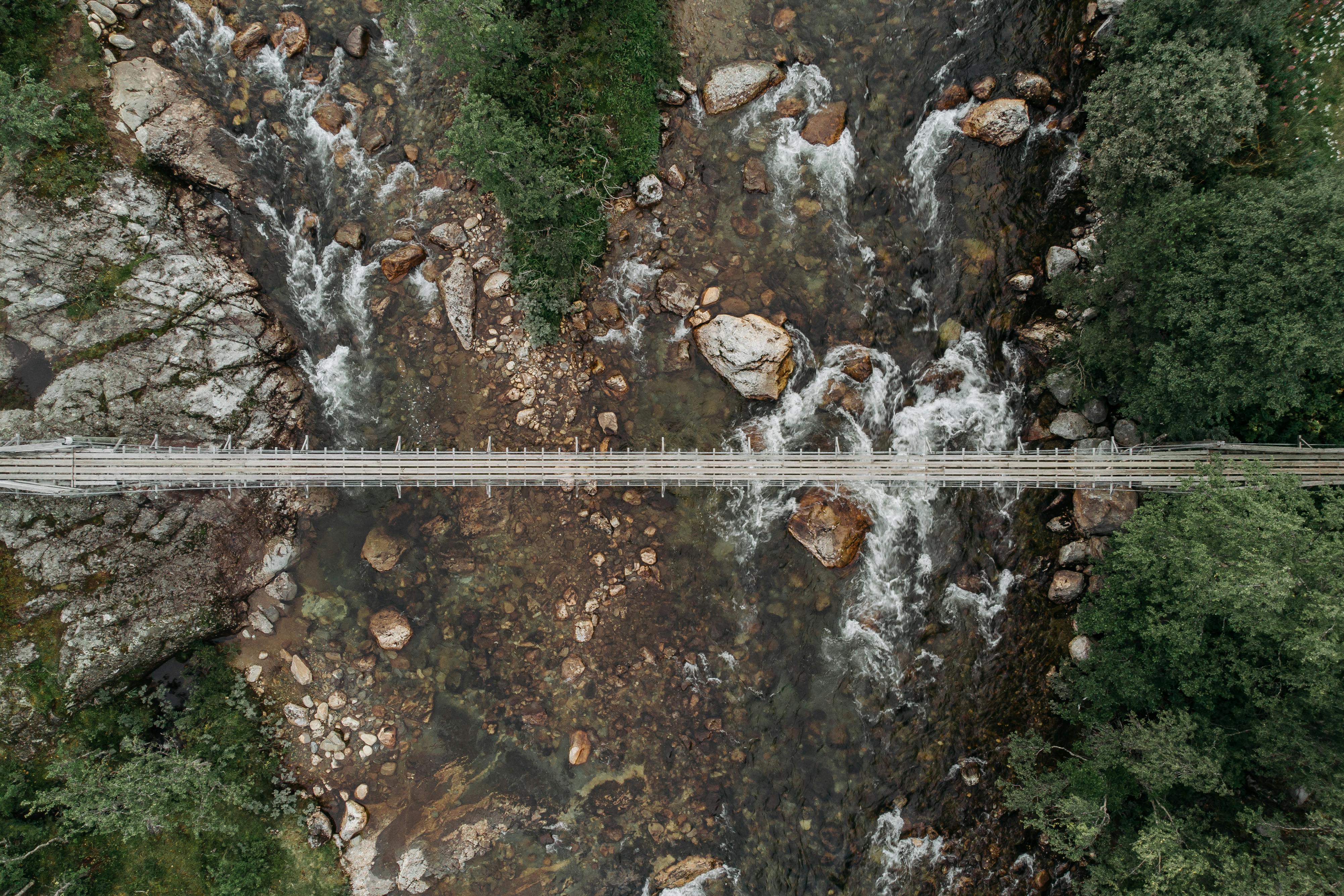 Aerial Shot of a River · Free Stock Photo