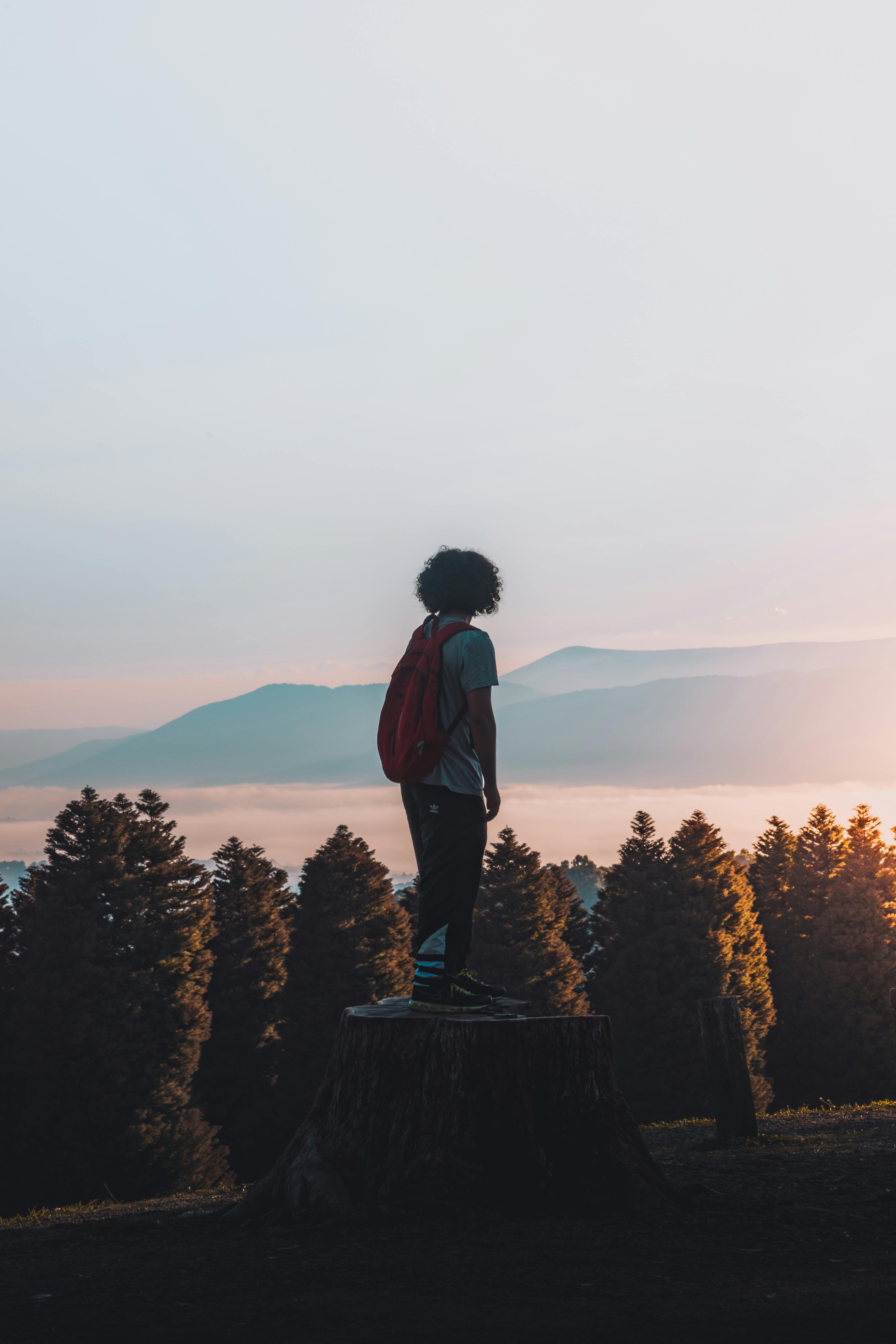 A Person Standing on a Tree Stump · Free Stock Photo