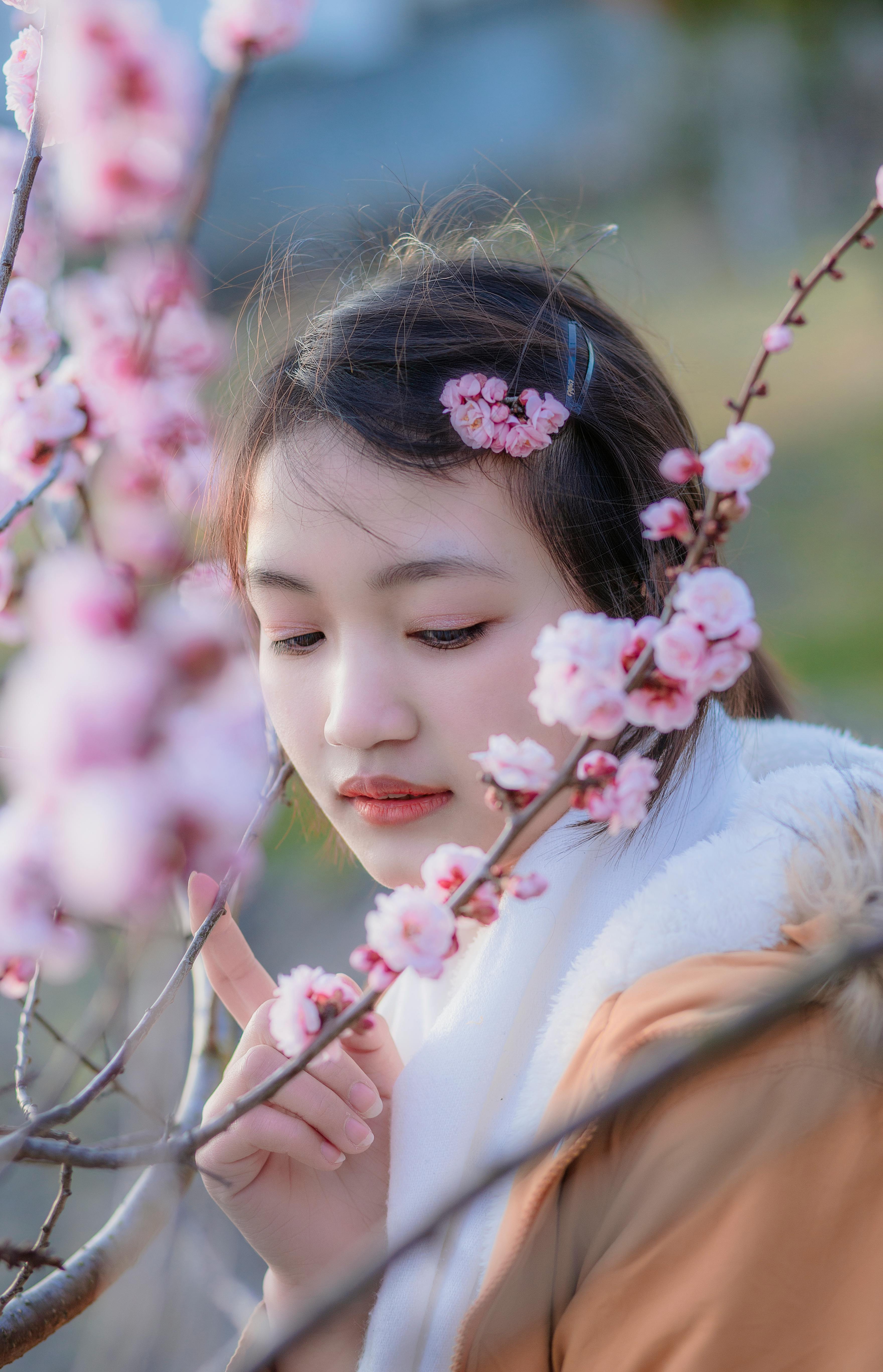 A Woman Wearing Hanfu Gown Standing Near Cherry Blossom Tree · Free ...