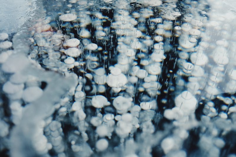 Ice Photos, Download The BEST Free Ice Stock Photos & HD Images