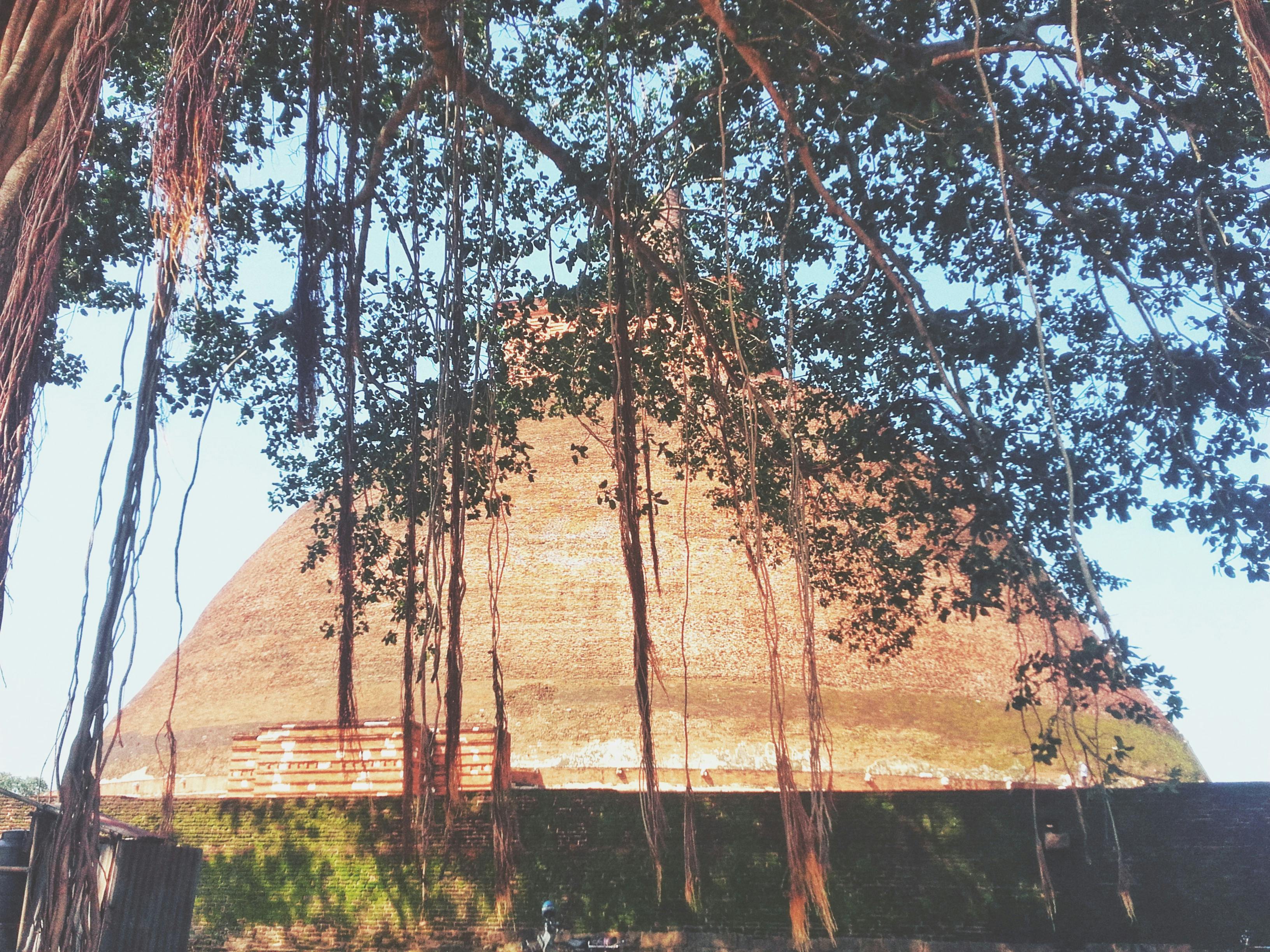 Janith Chanaka - 사진