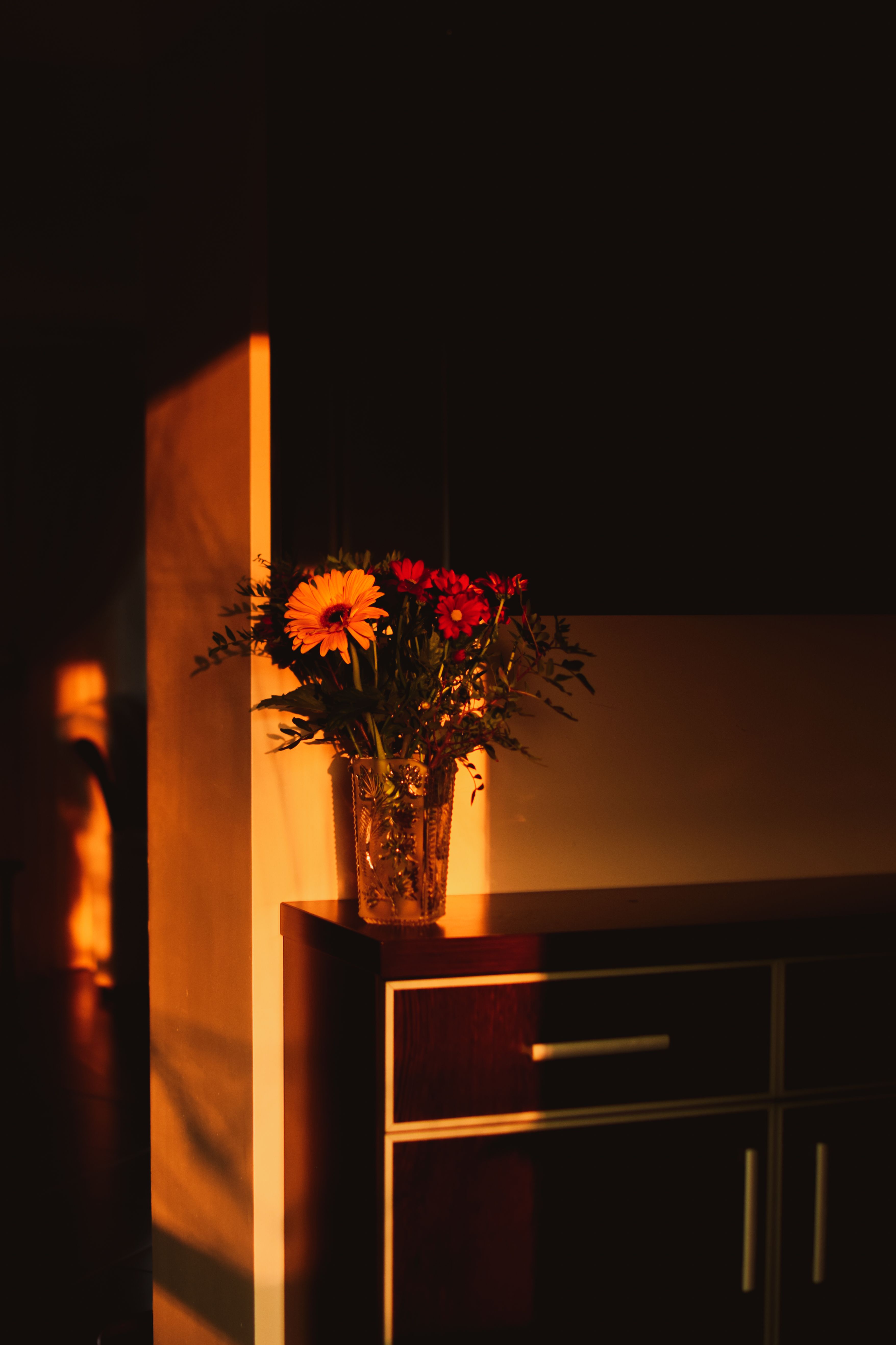 Photograph of a Vase with Flowers · Free Stock Photo