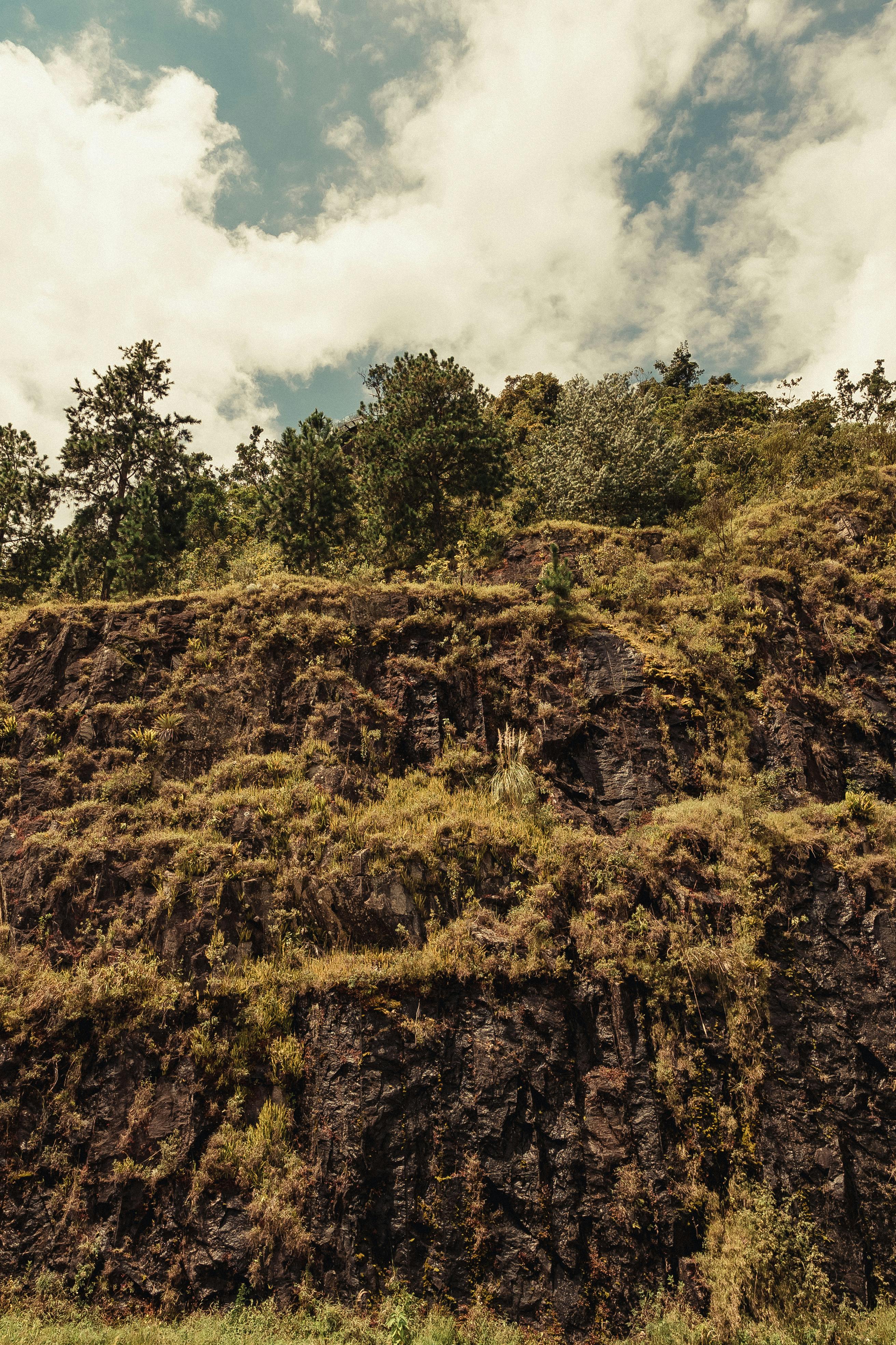 Rocky formations covered with grass and trees · Free Stock Photo