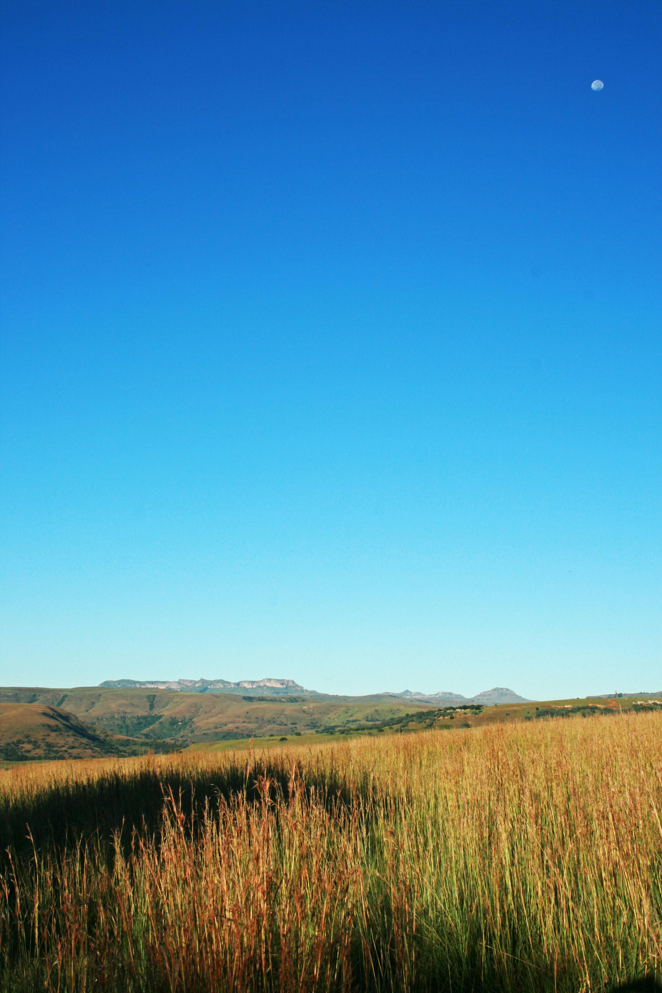 Free stock photo of blue sky, country, farm