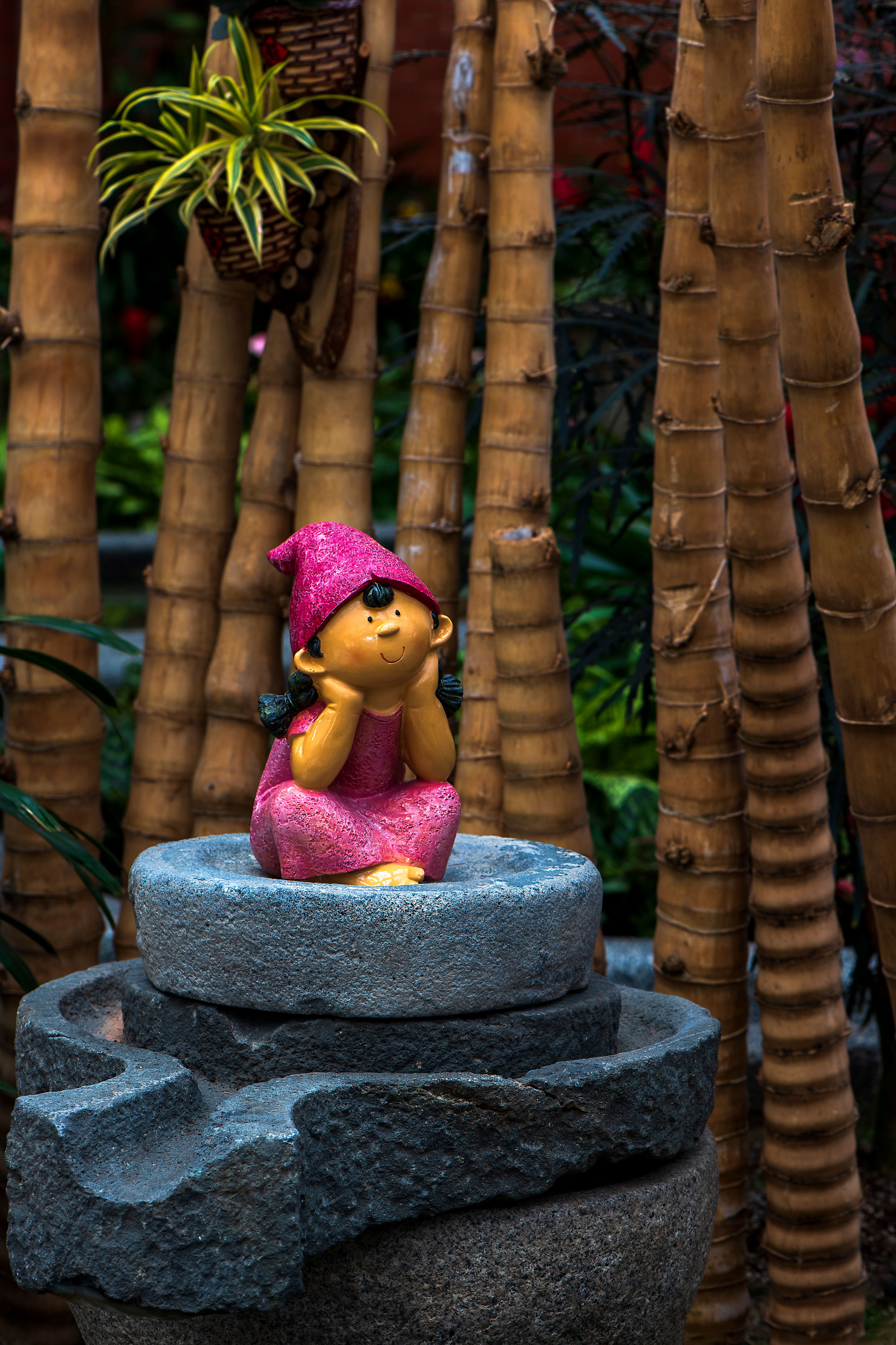 Dwarf+Bamboo+Fence Photos, Download The BEST Free Dwarf+Bamboo+Fence ...