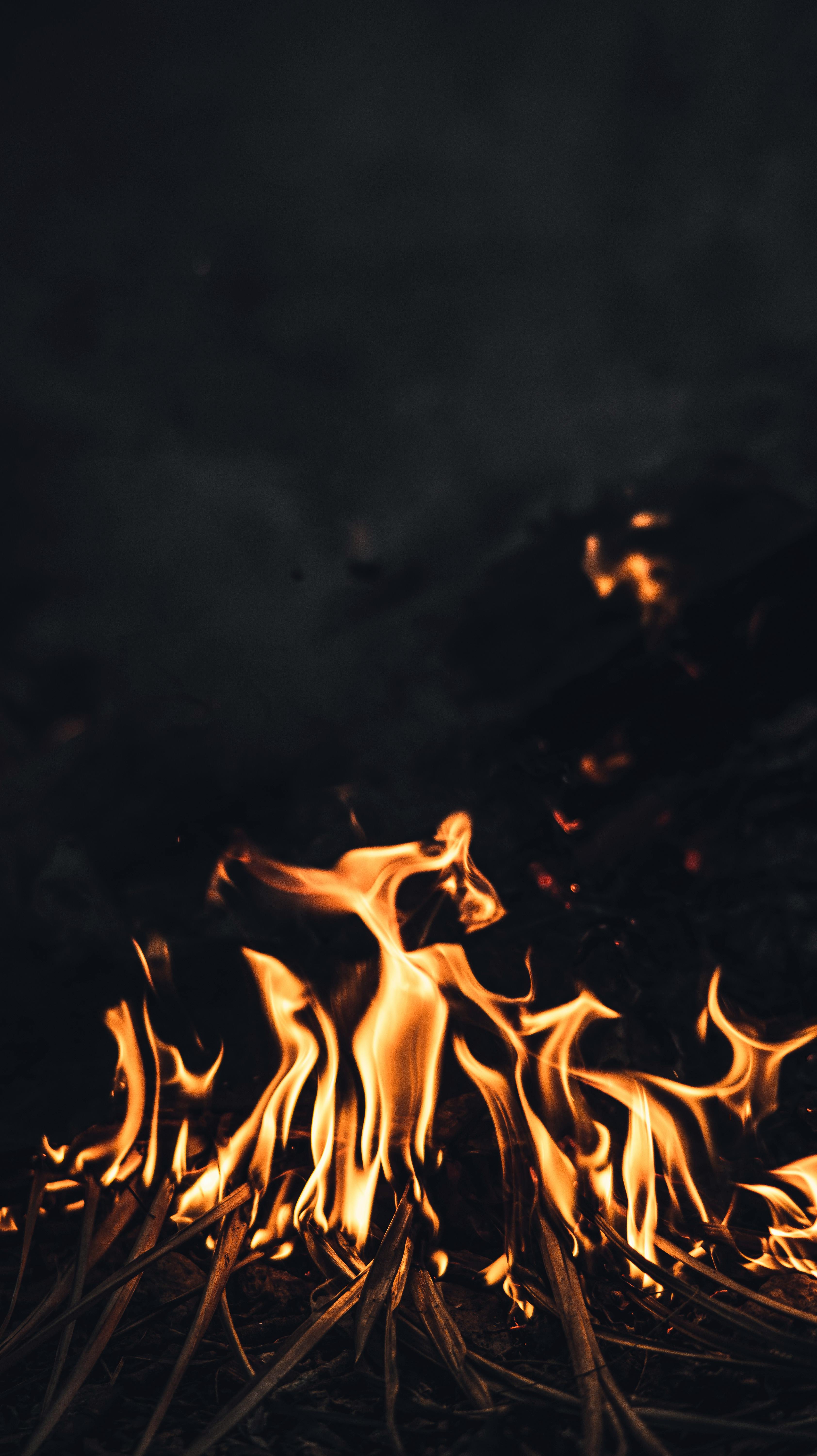 Wild Fire Photos, Download The BEST Free Wild Fire Stock Photos & HD Images