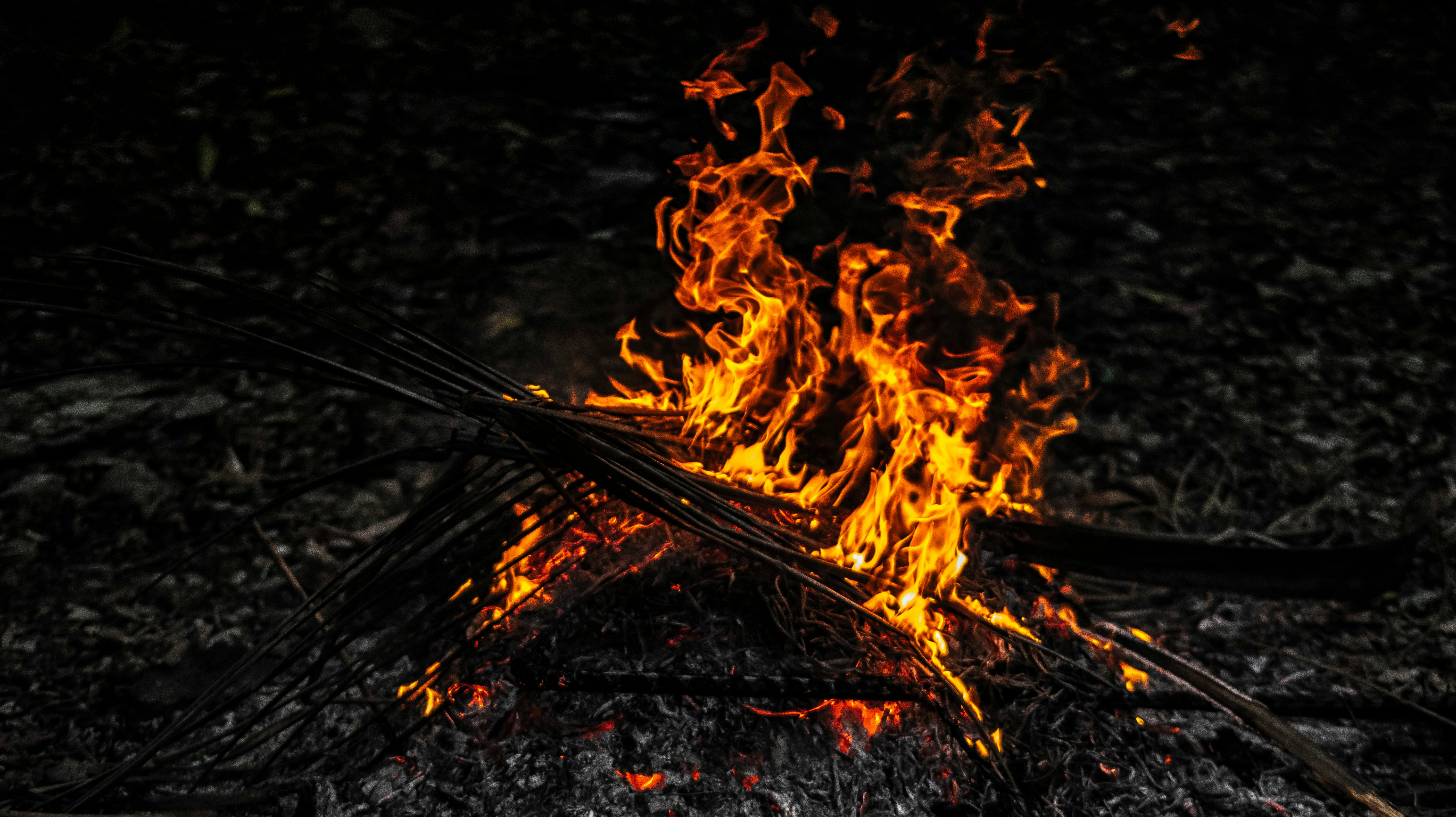 30,000+ Best Wild Fire Photos · 100% Free Download · Pexels Stock Photos