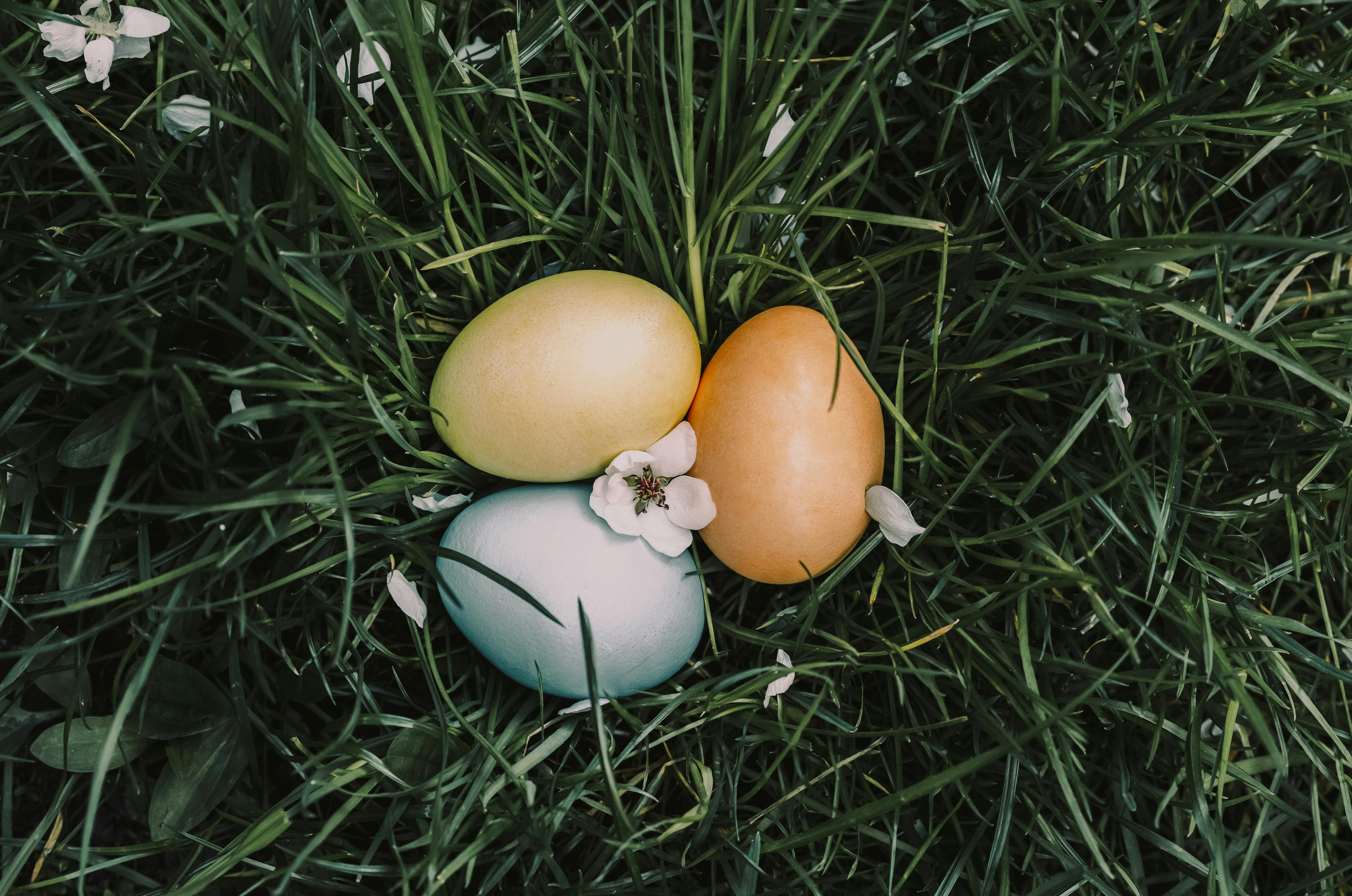 Discipleship: Growing Into Christian Photos, Download The BEST Free ...