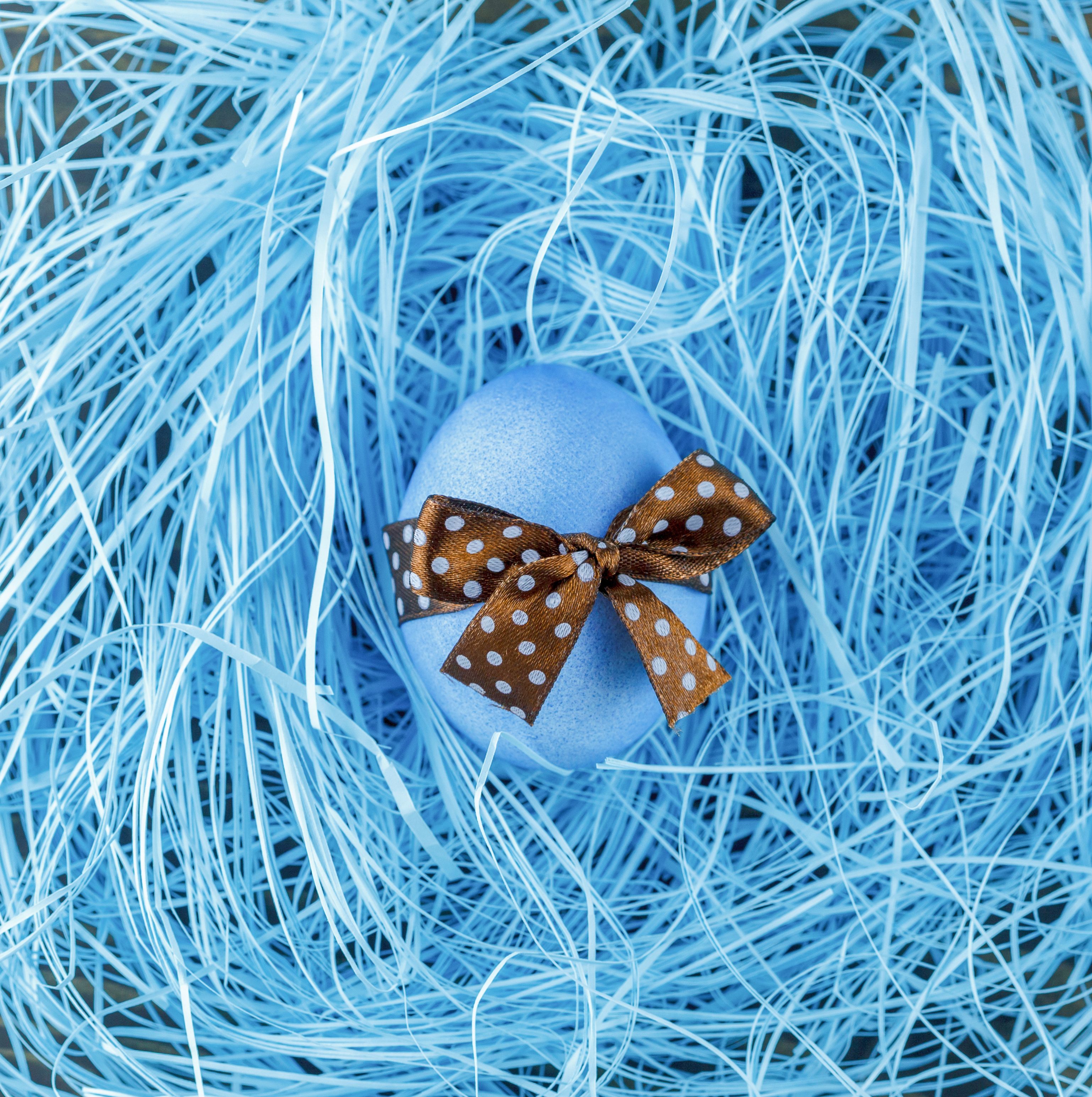 Messy Nest Photos, Download The BEST Free Messy Nest Stock Photos & HD ...