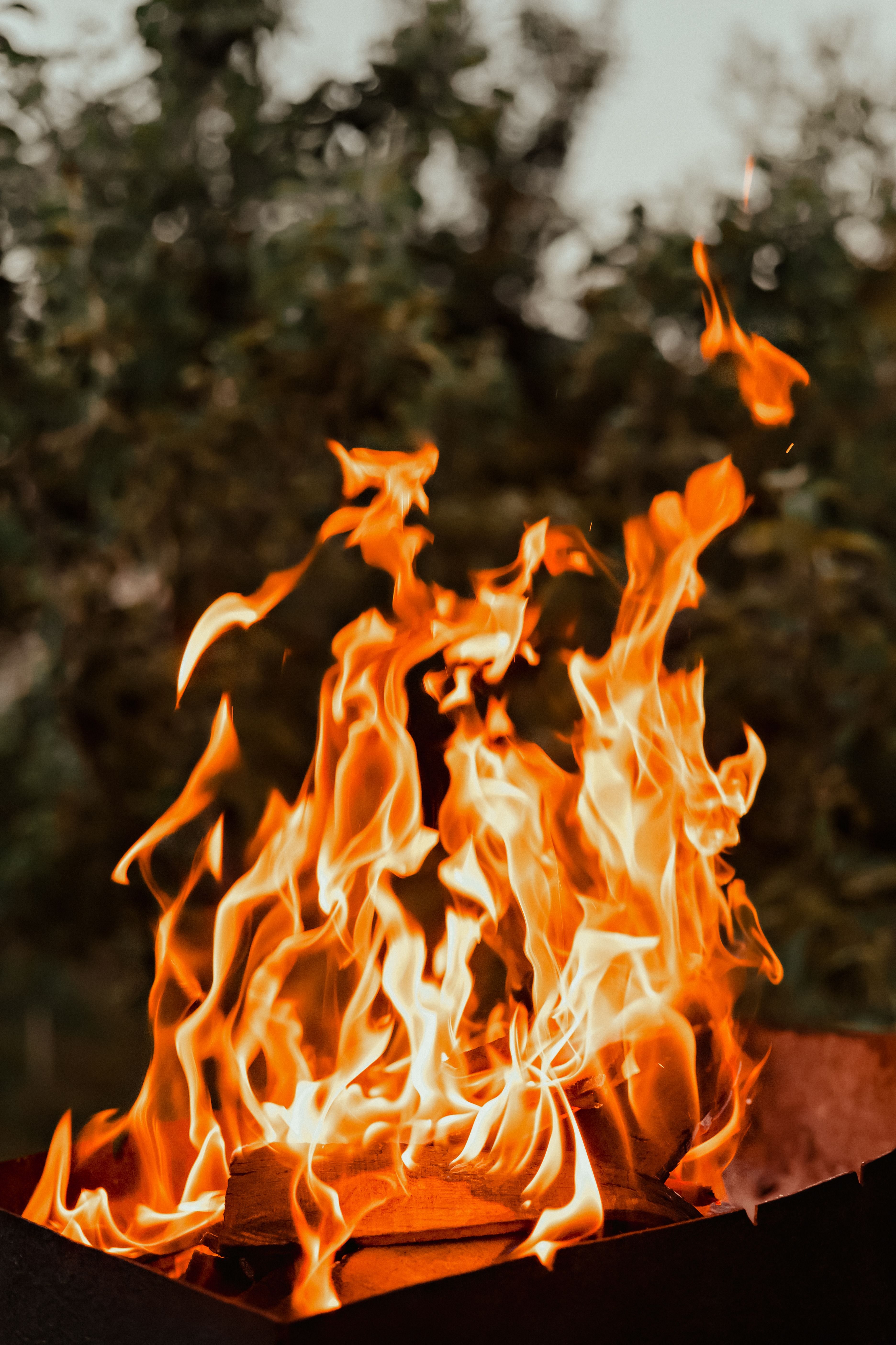 Tree twigs burning in glowing fire at dusk · Free Stock Photo