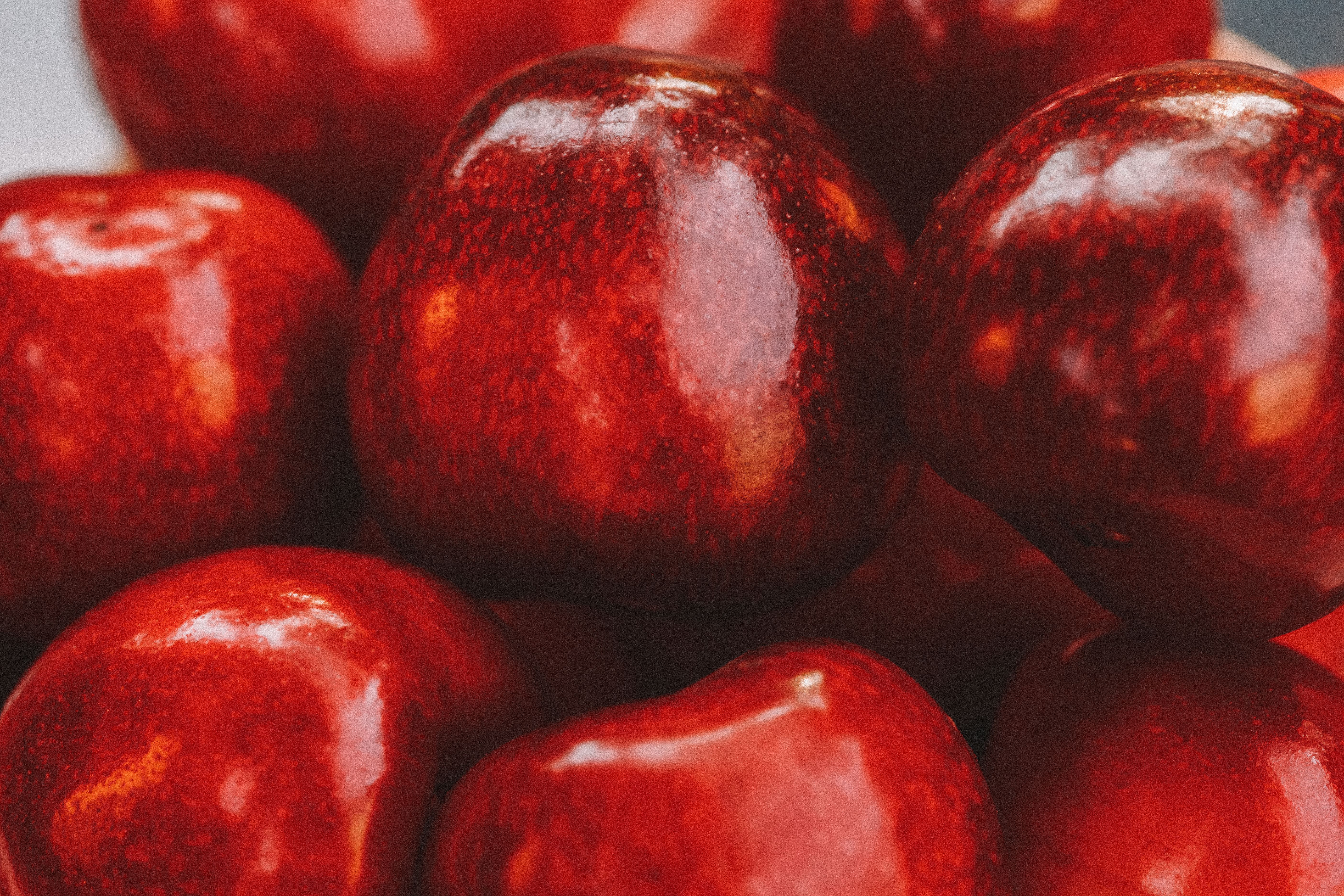 Bright red coffee fruits with pleasant aroma · Free Stock Photo