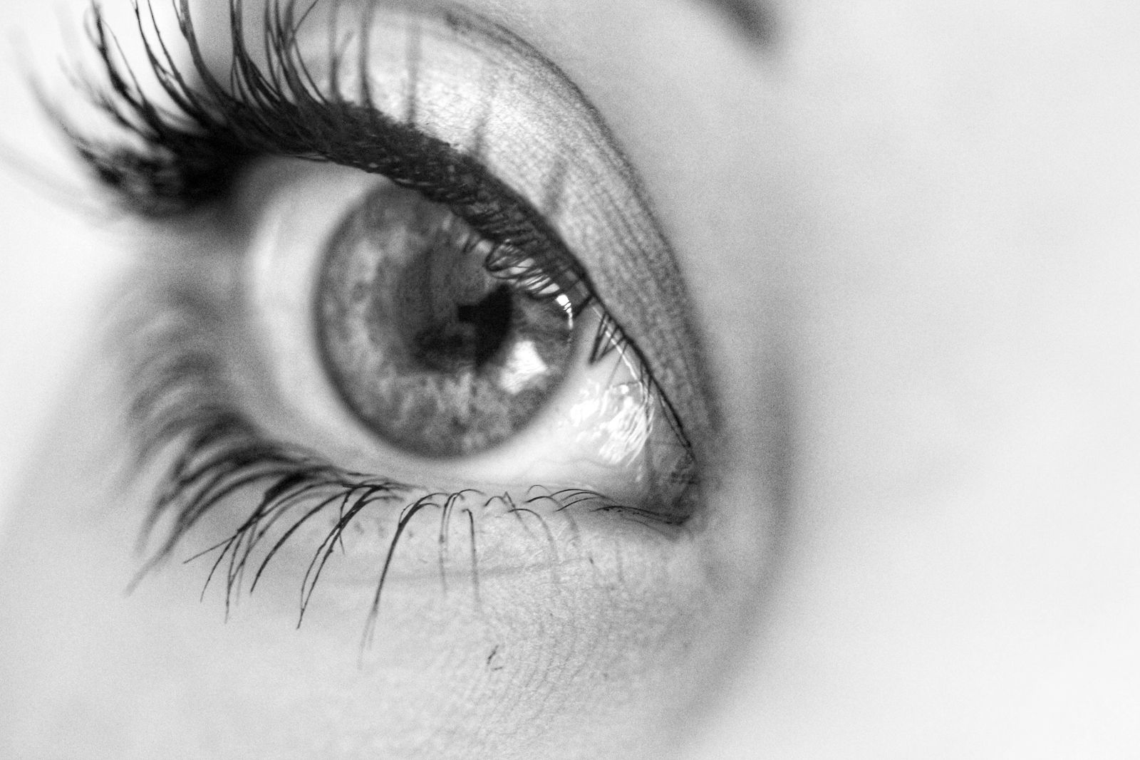 Eyelashes Photos, Download The BEST Free Eyelashes Stock Photos & HD Images