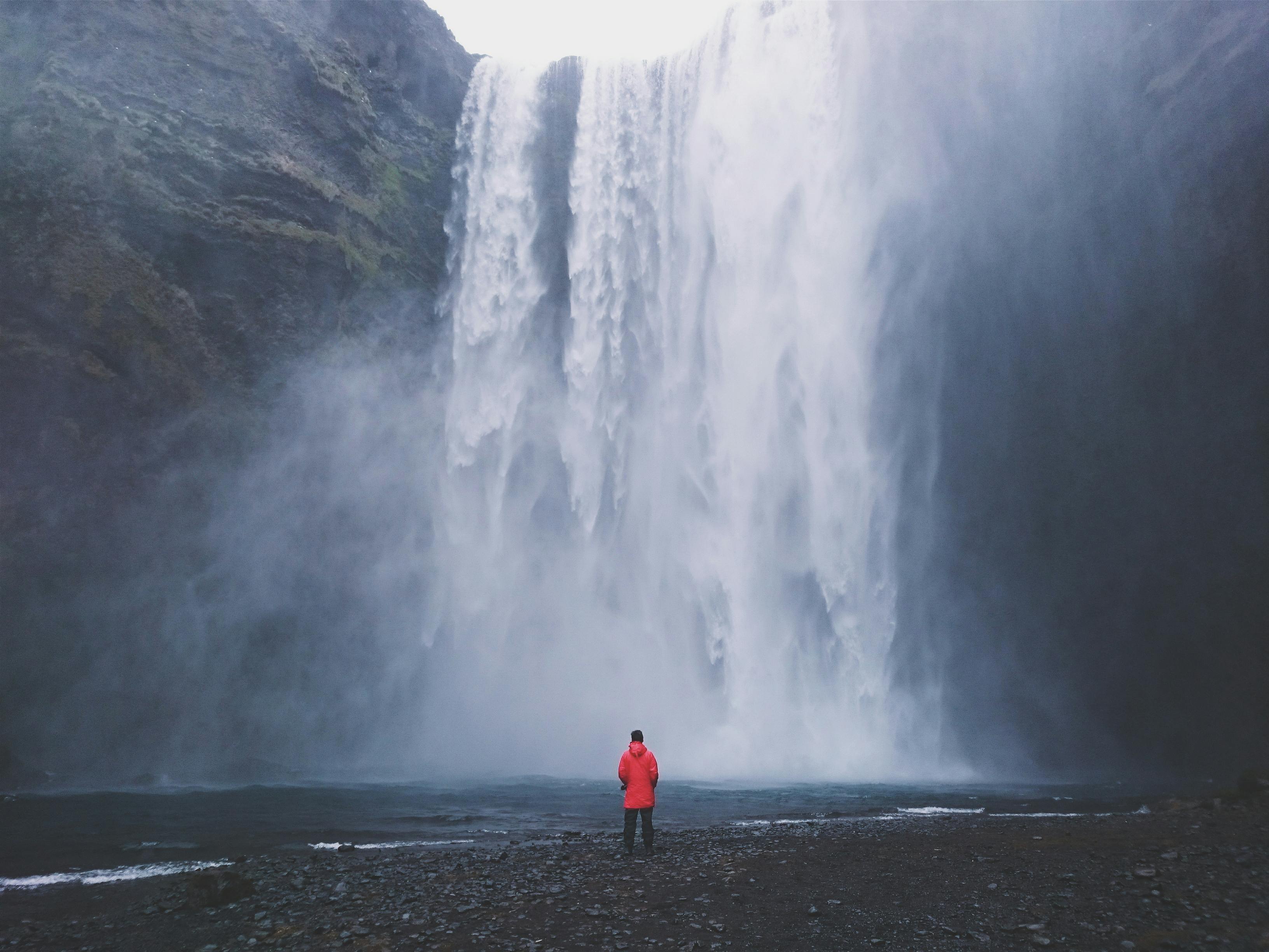 Roaring Man Photos, Download The BEST Free Roaring Man Stock Photos ...