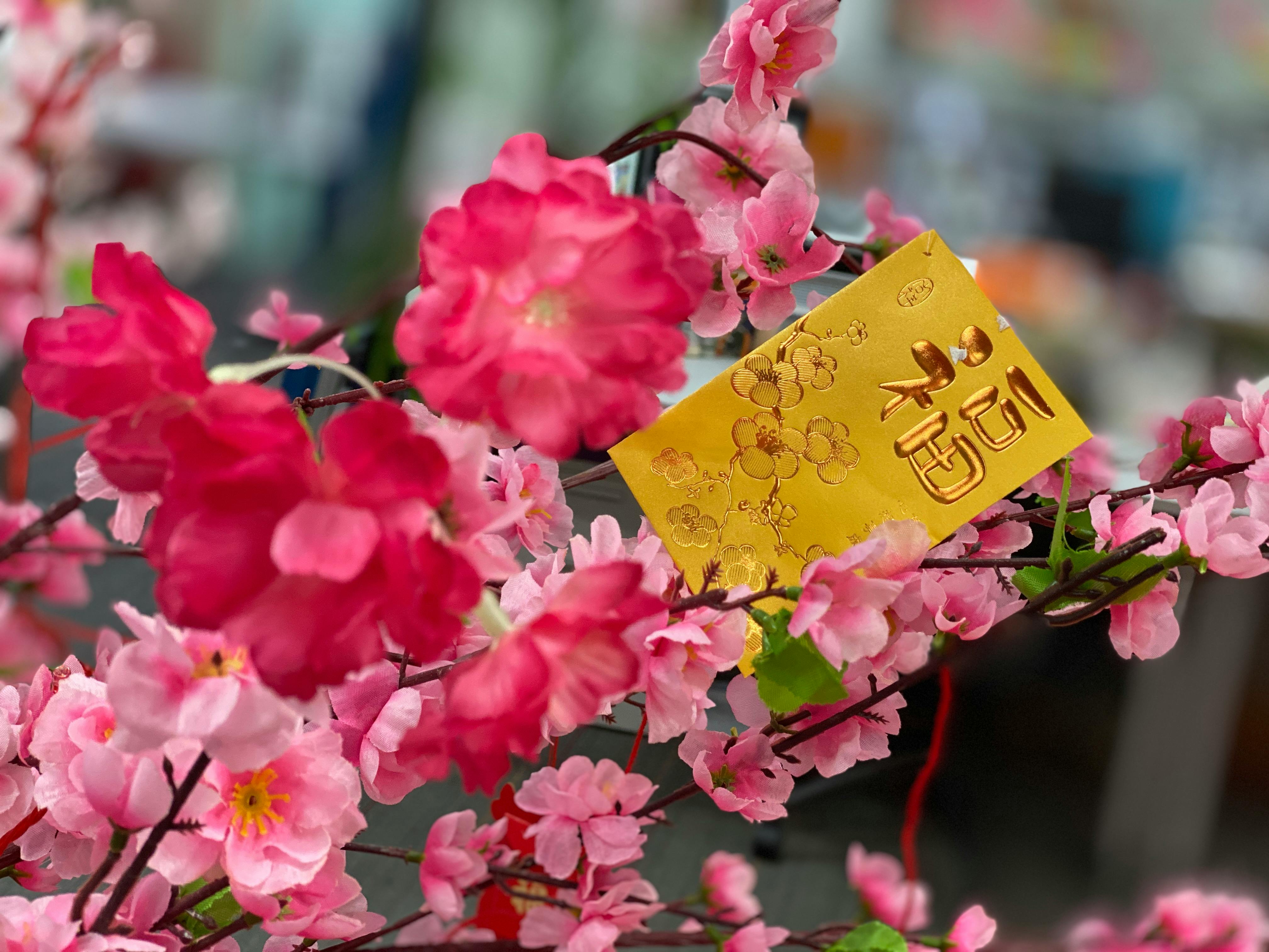 Yellow Ang Pao on Pink Flowers · Free Stock Photo