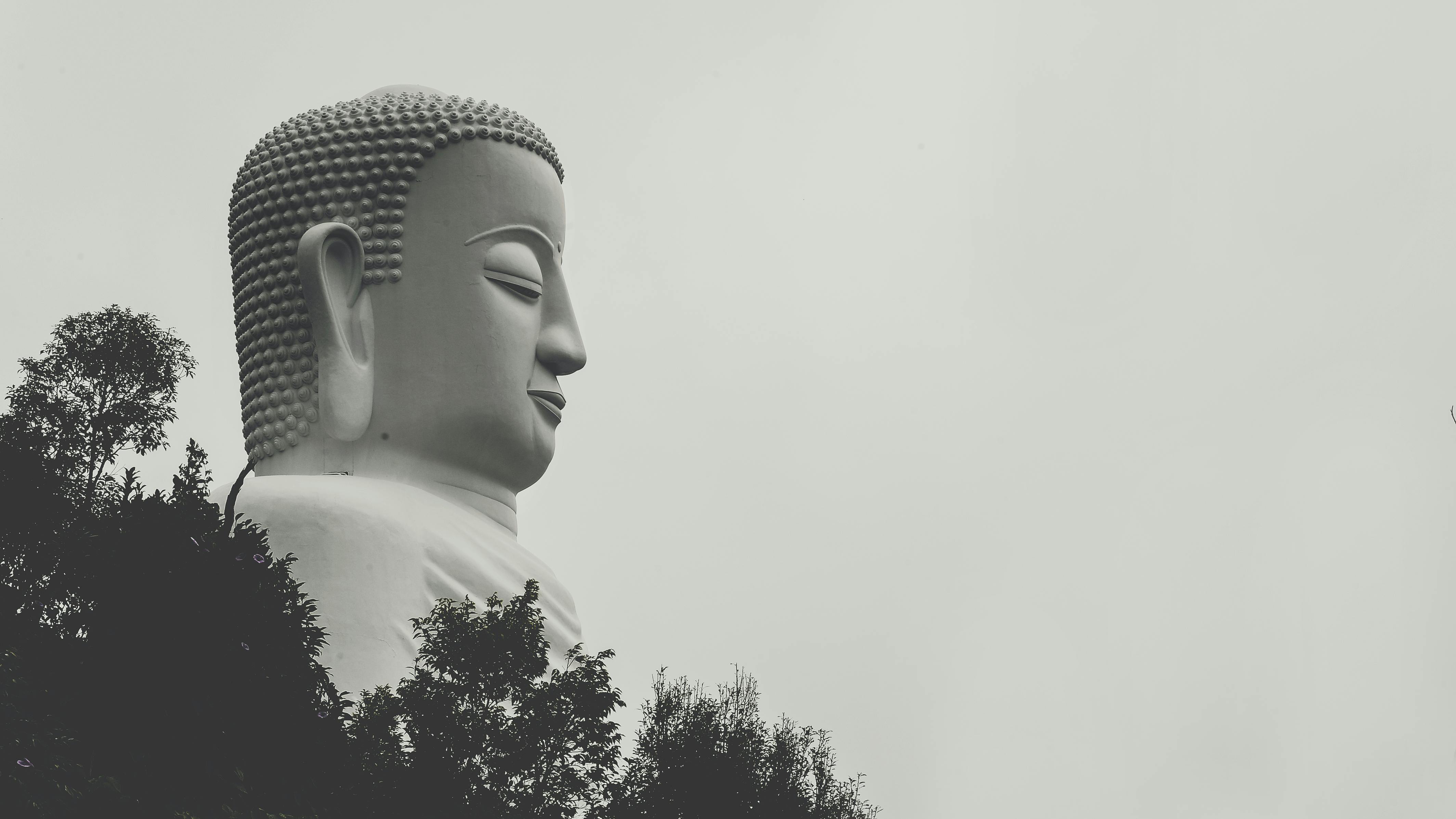 Buddha Statue Grayscale Photo · Free Stock Photo