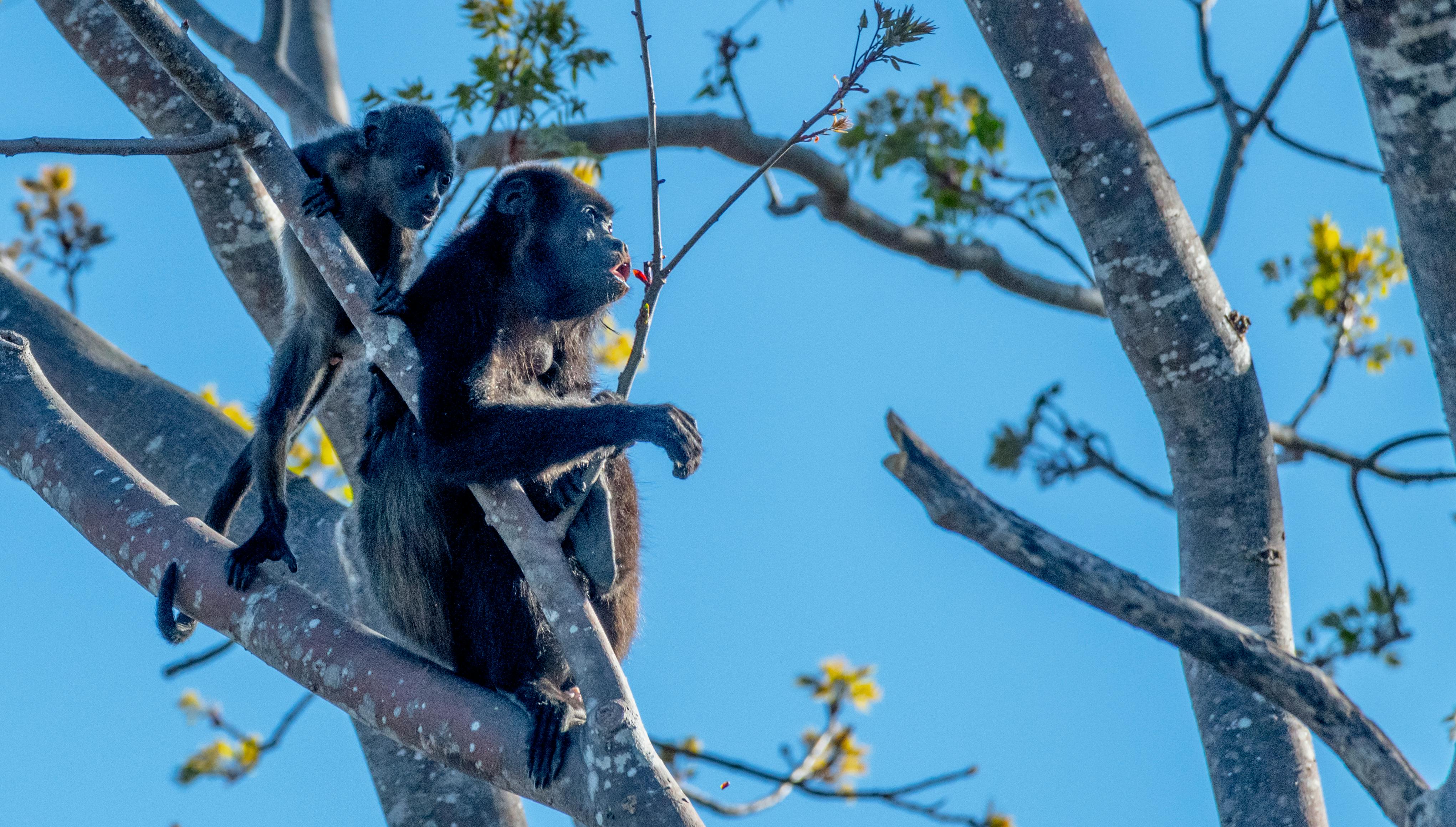 Costa Rica 56 Photos & Videos Collected by Samuel Sweet