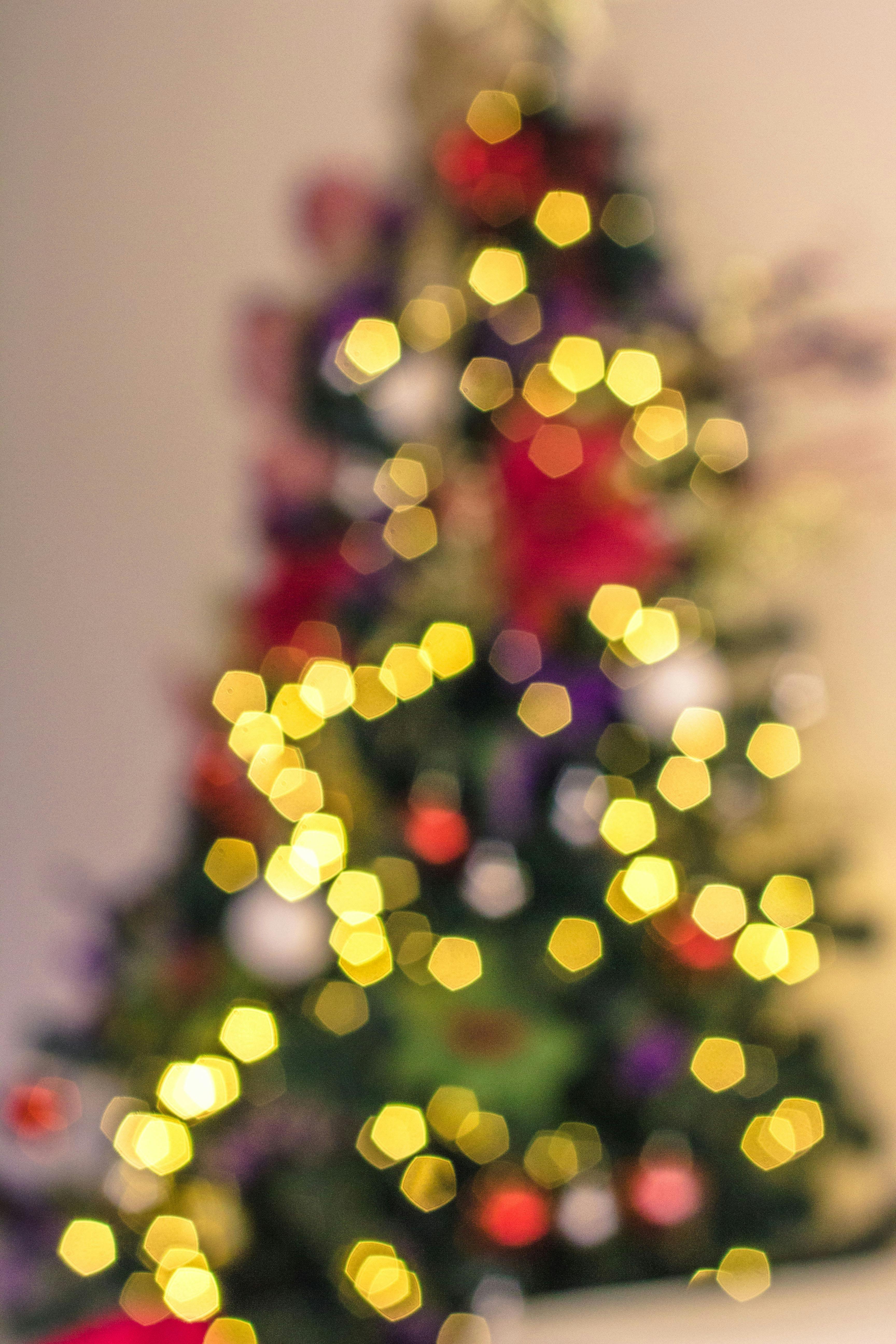 Free stock photo of green, greenery, natural