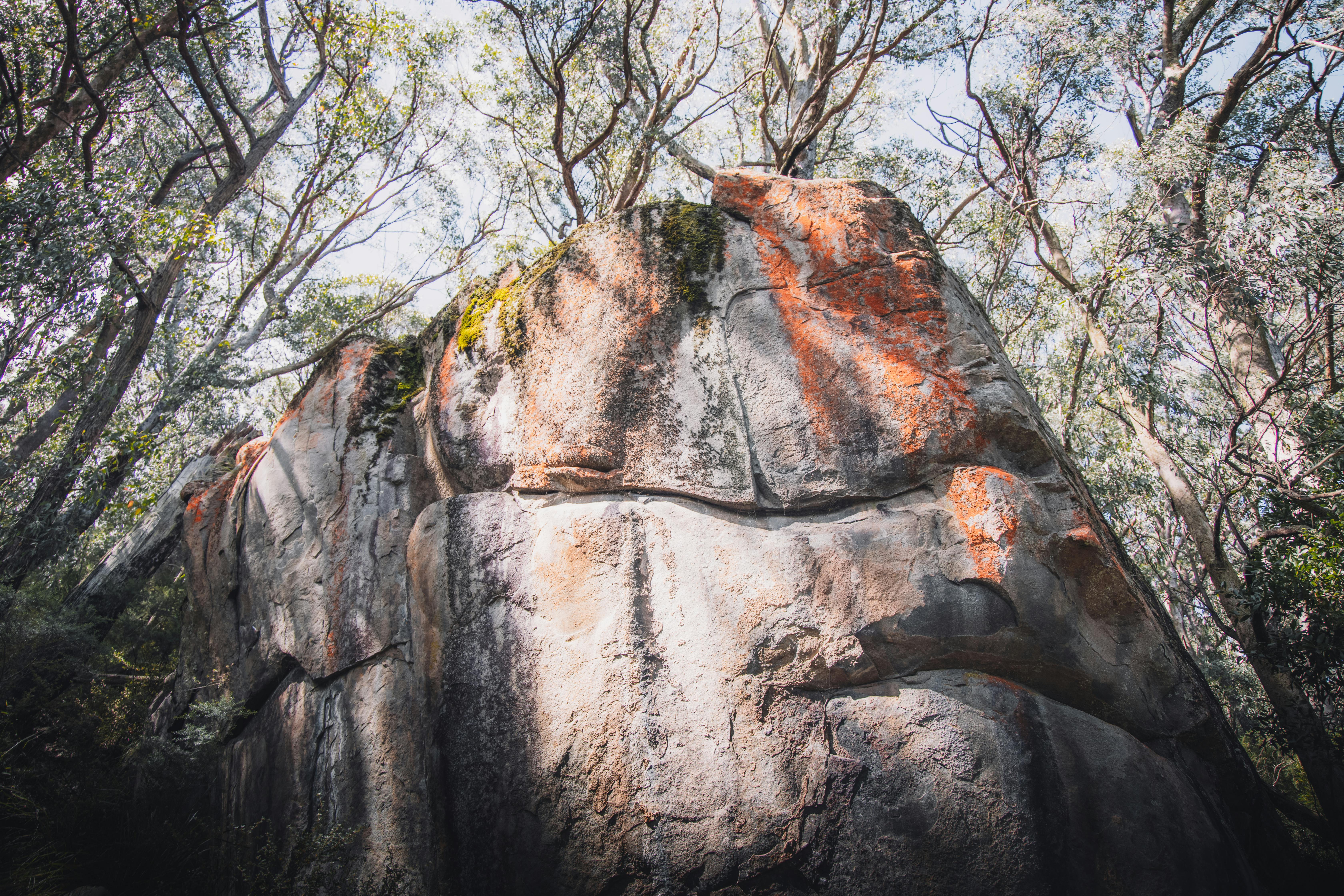 Gray Rock Formation Near Trees · Free Stock Photo