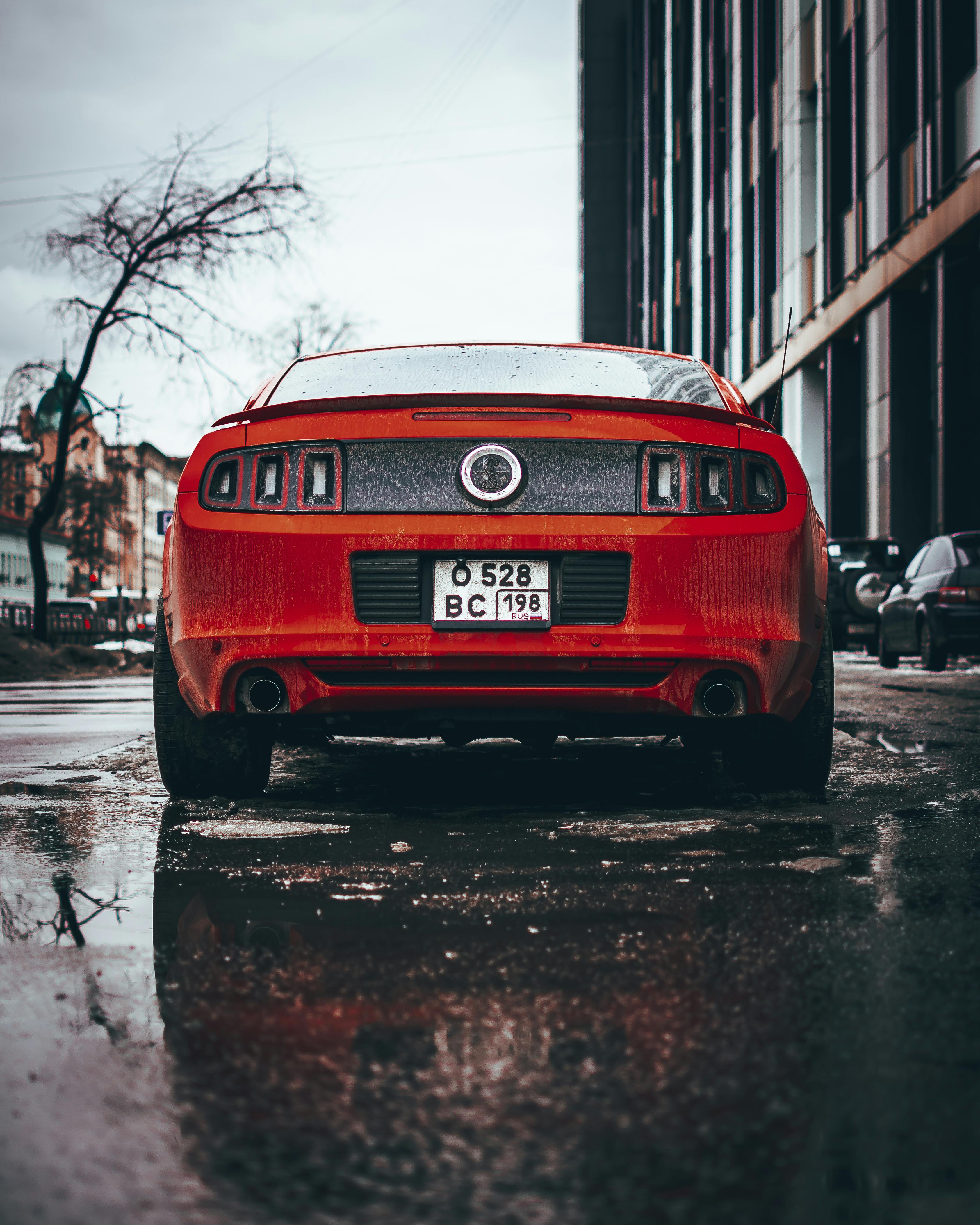 Rusty Datsun Car · Free Stock Photo